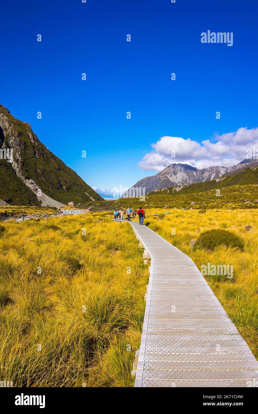 Mount Tasman Valleys , Aoraki Mt Cook national park Southern Alps ...