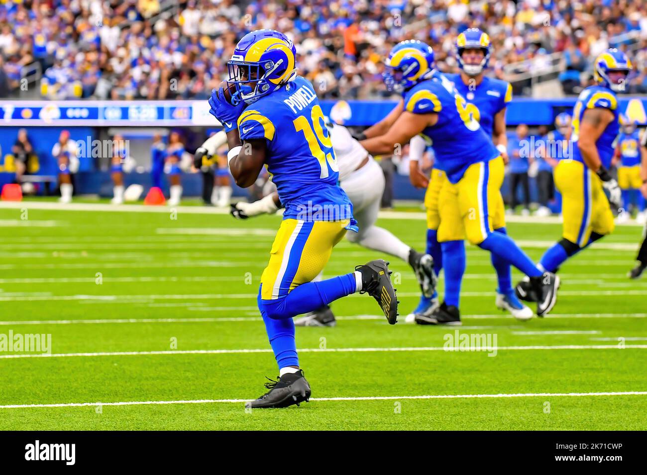 Rams panthers 2022 hi-res stock photography and images - Alamy