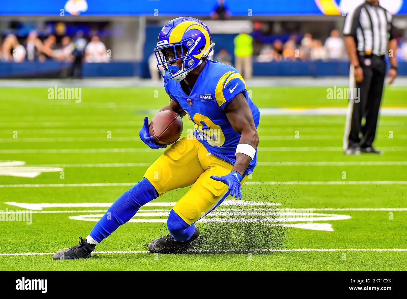 Rams panthers 2022 hi-res stock photography and images - Alamy