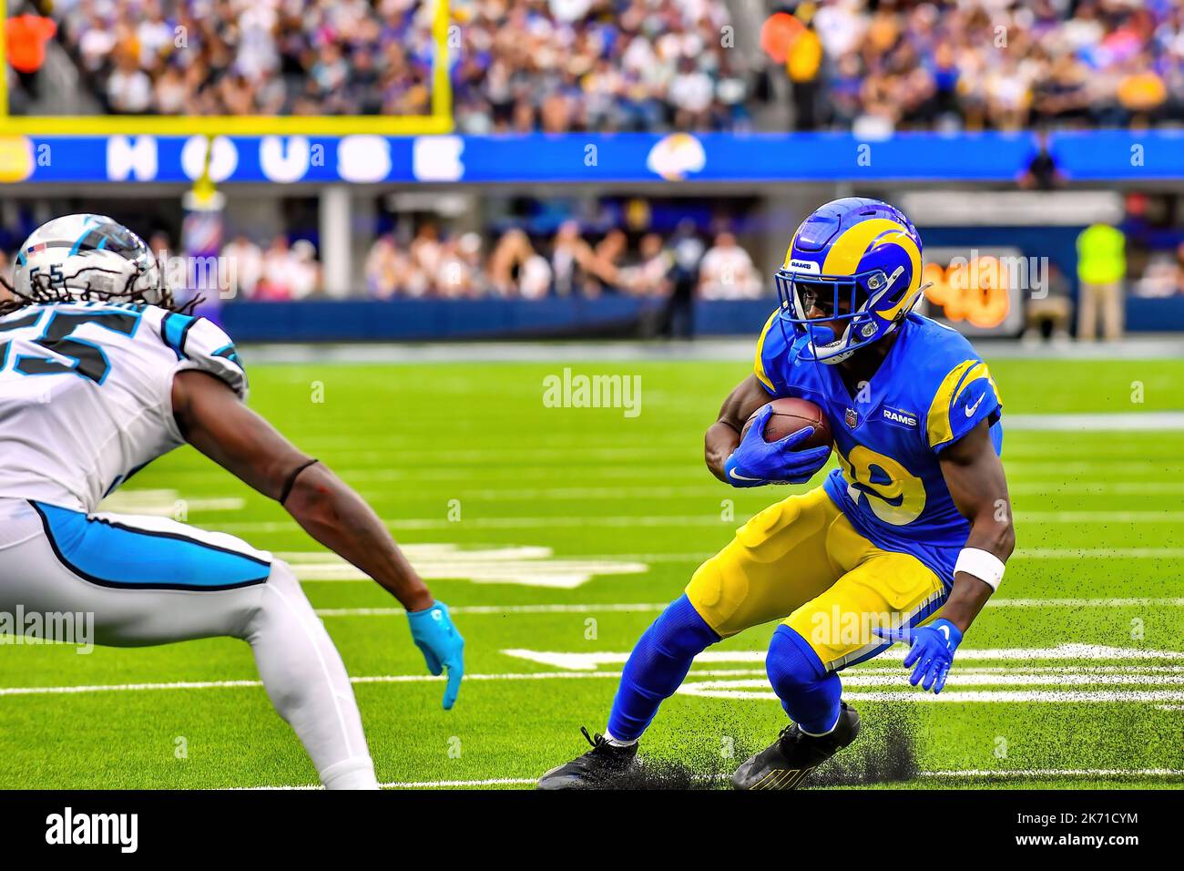 Rams panthers 2022 hi-res stock photography and images - Alamy
