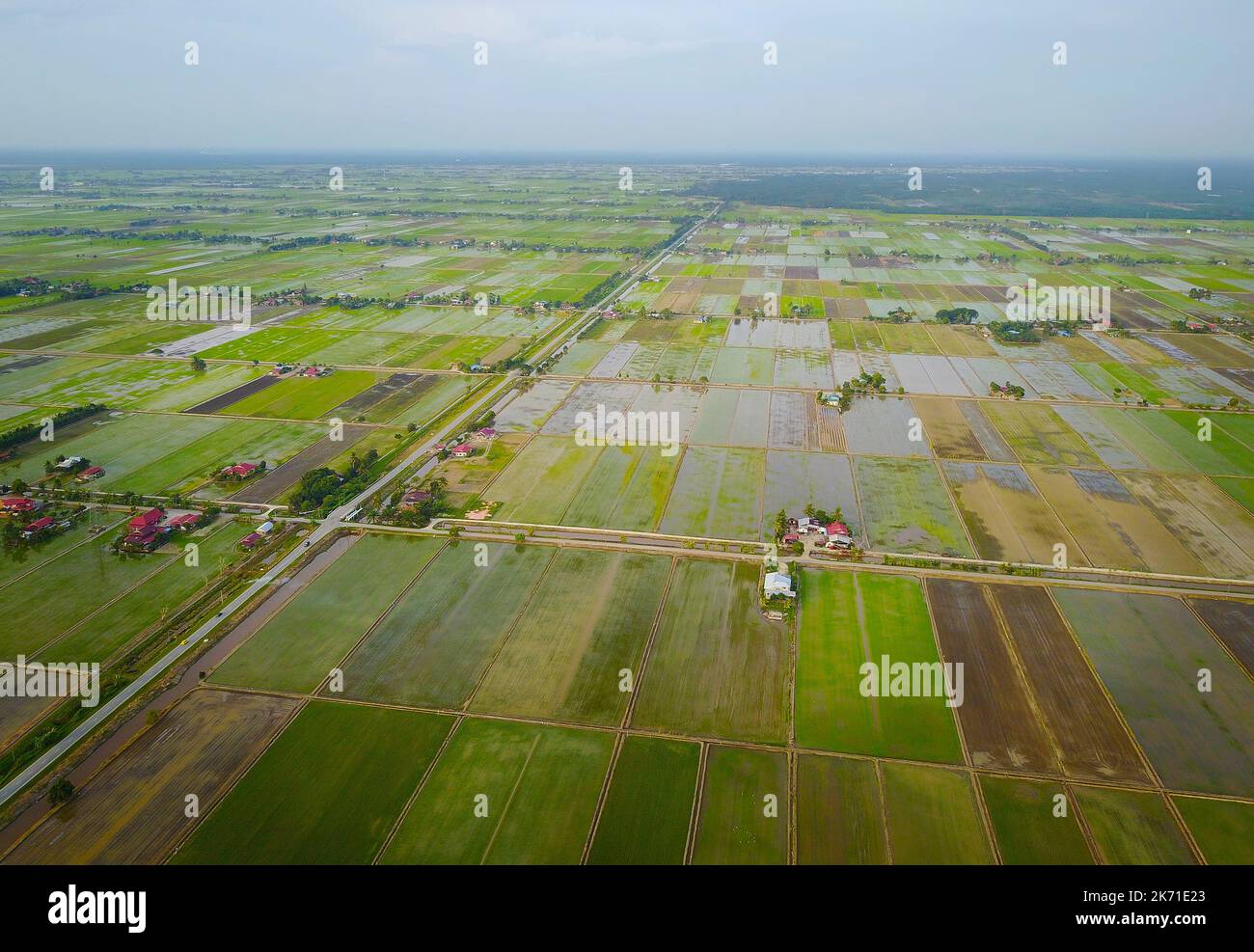 Aerial view of green paddy field at south east Asia Stock Photo - Alamy