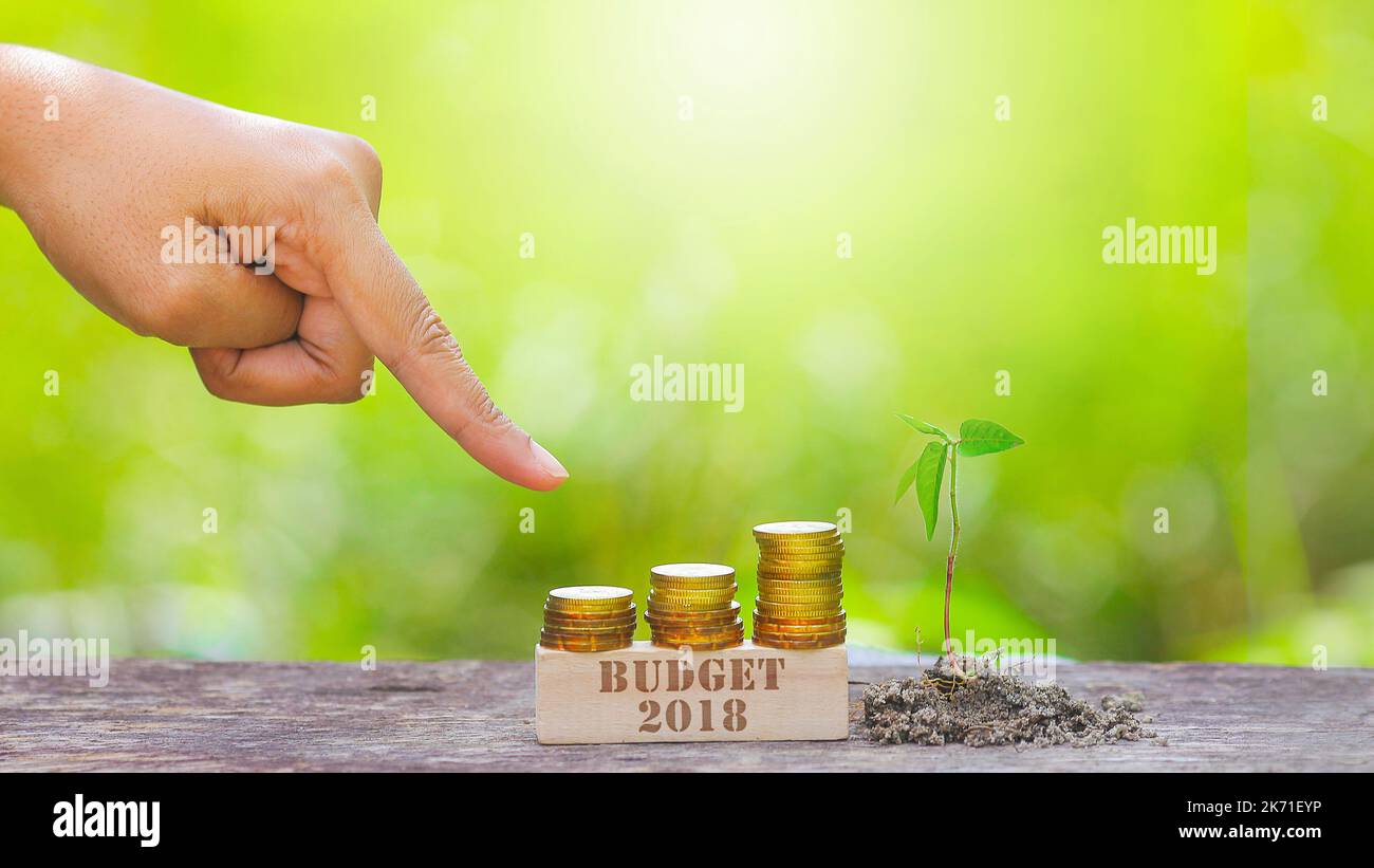 BUDGET 2018 WORD WITH BUSINESSMAN HAND POINTING TO STACK OF GOLD COIN ...