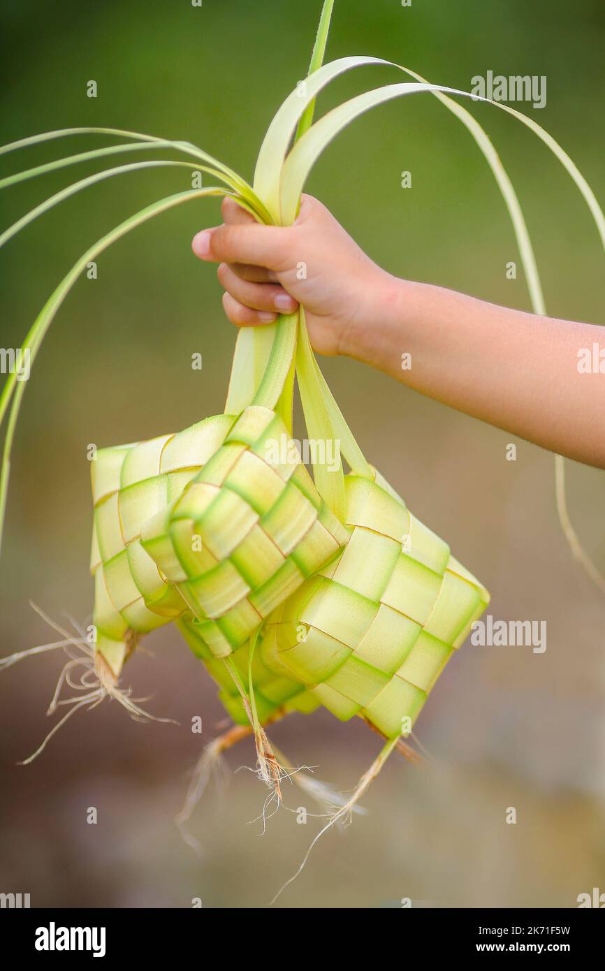 Kid holding a ketupat (rice dumpling) a traditional malay food for eid ...