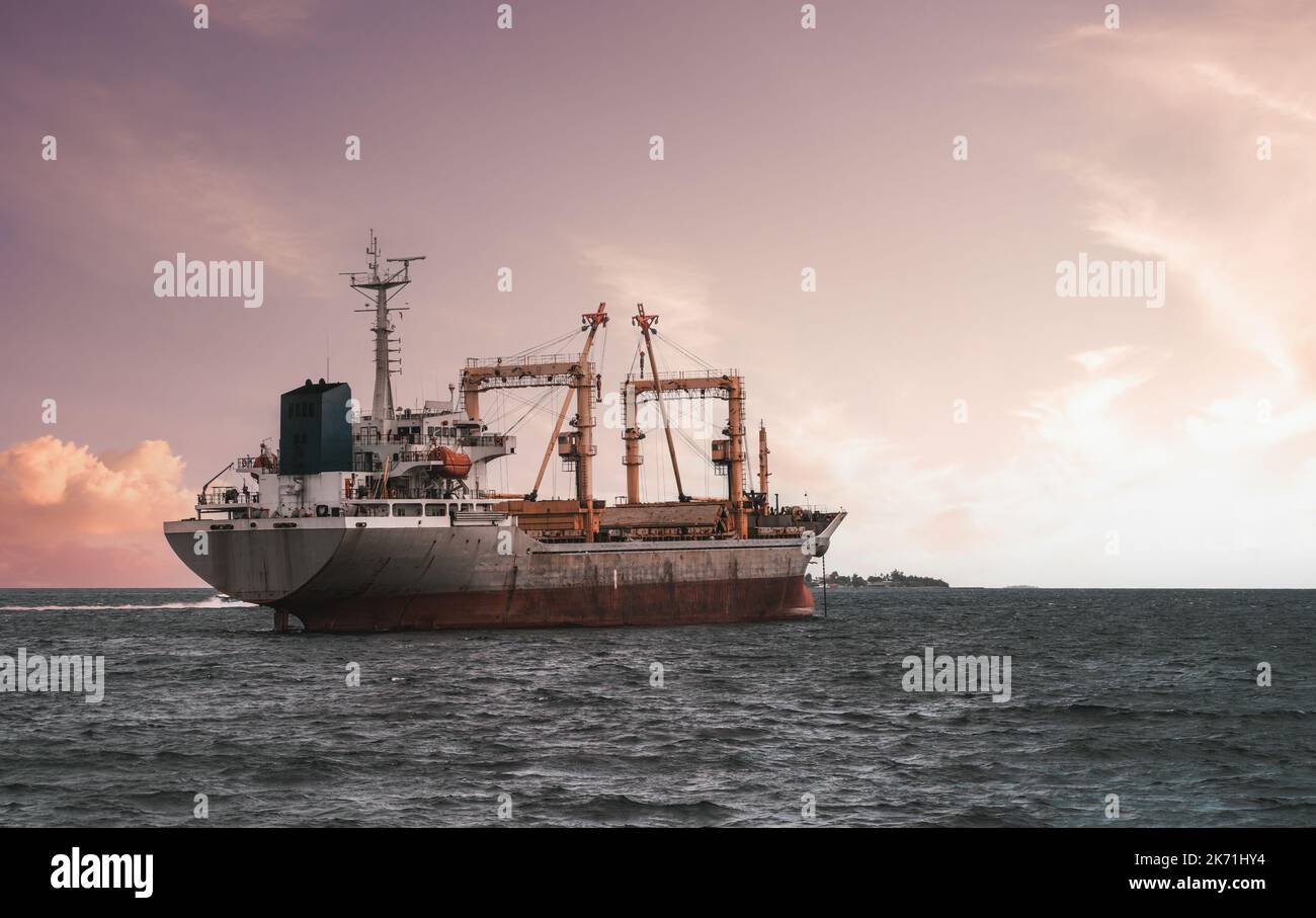 View of a huge freighter in the ocean with two cargo cranes on it in ...