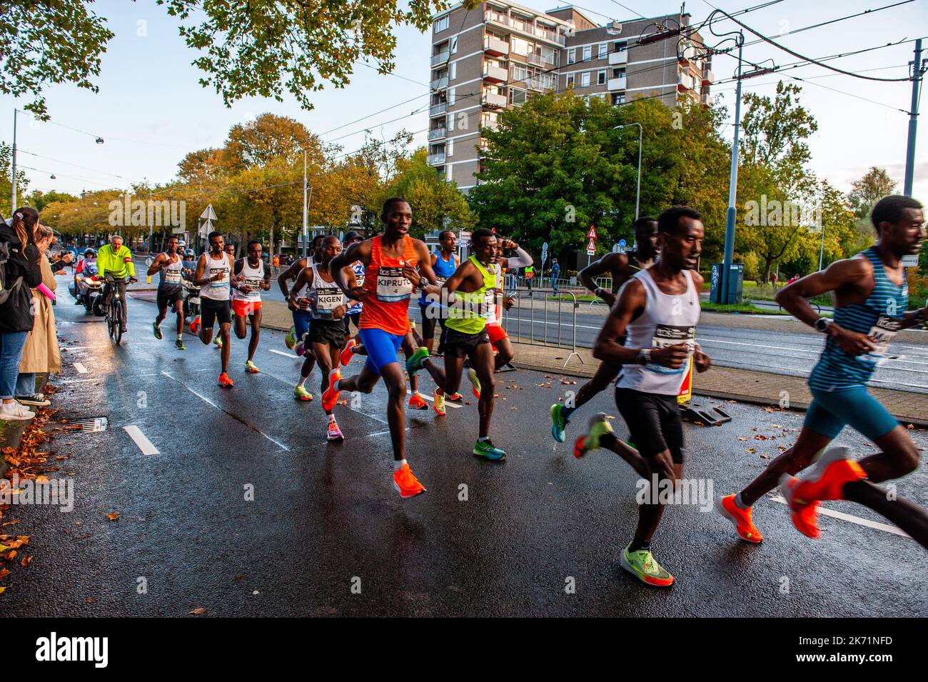 Participants are seen running the last kilometers before the finish ...