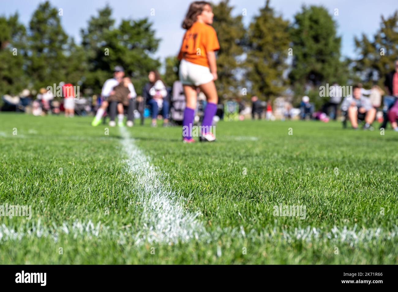 Selective focus on ground level view of soccer field center line with ...