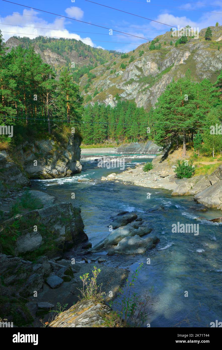 The mouth of the Chemal River. The bed of a mountain river among the ...
