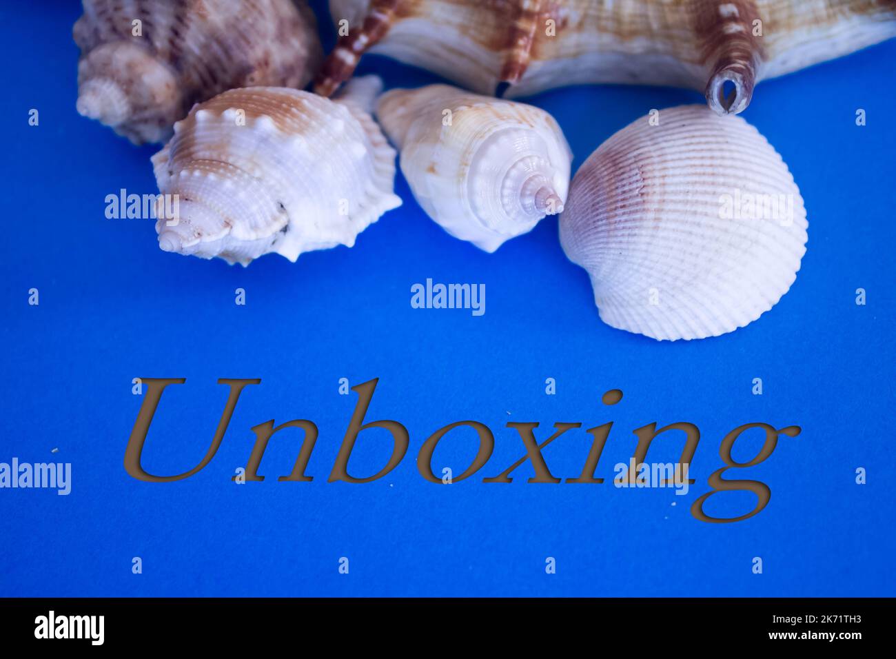 Animal Shell, Summer vacation, marine background with Unboxing text ...