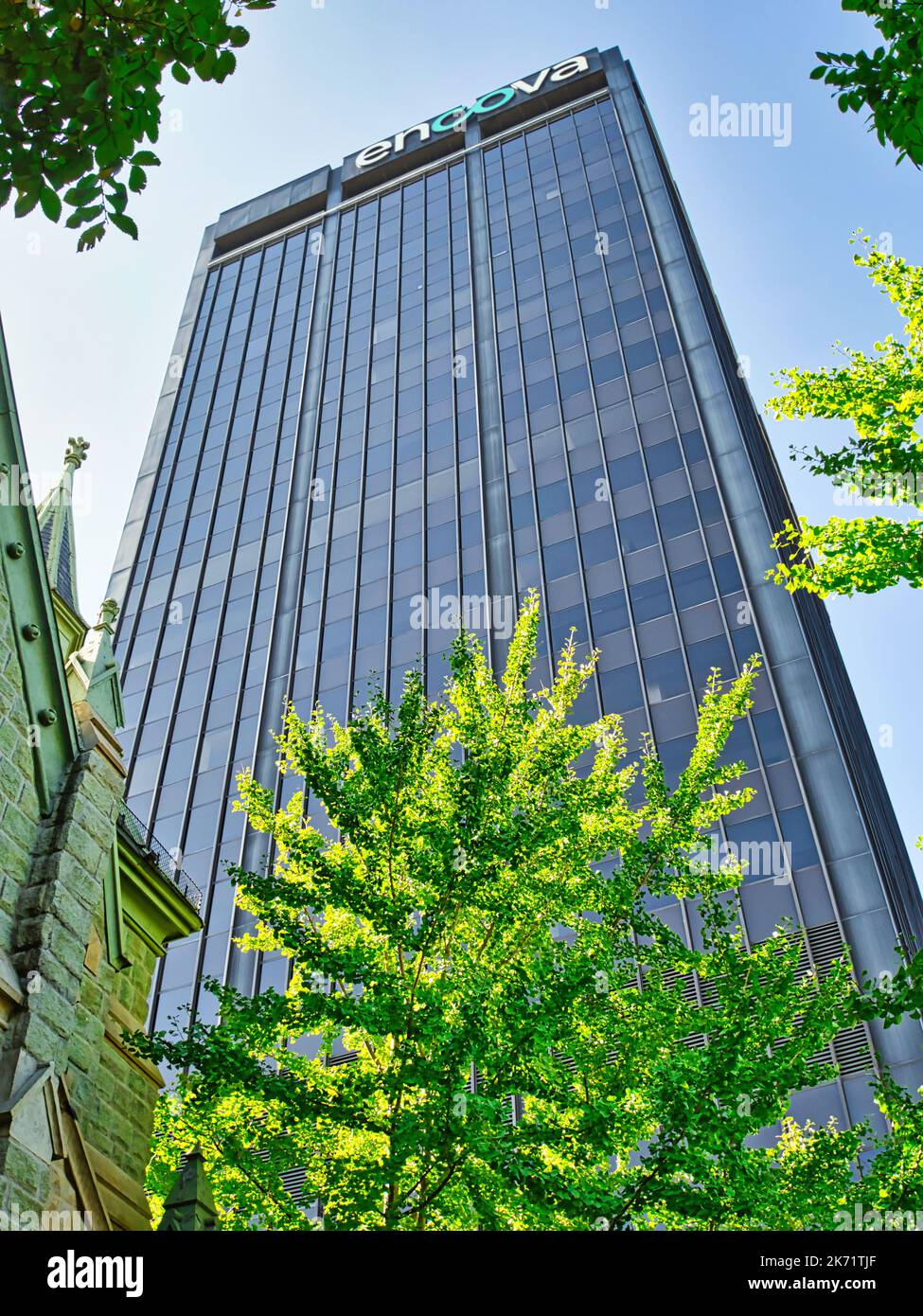 Encova hi-res stock photography and images - Alamy