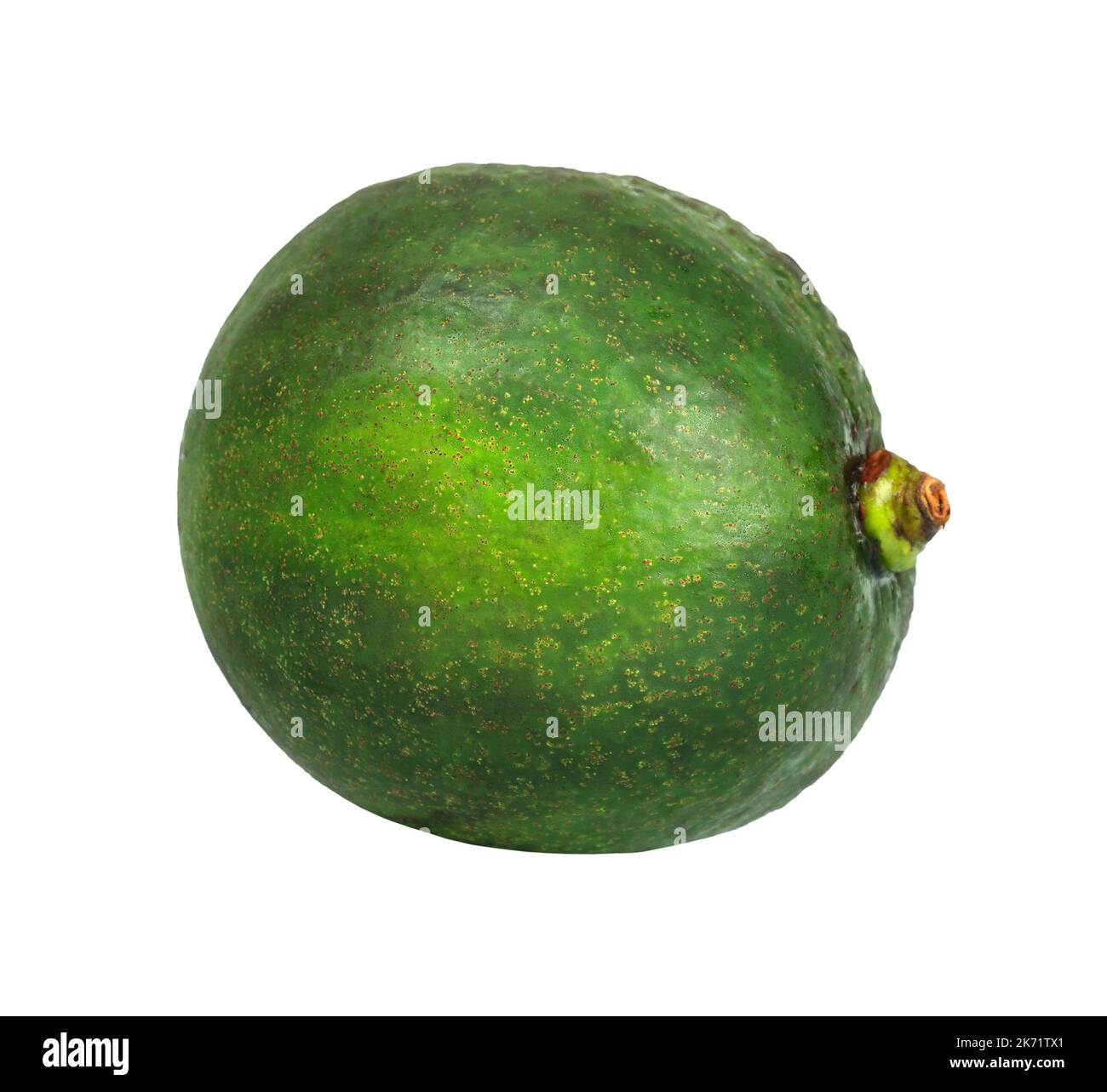 Green food plant avocado Cut Out Stock Images & Pictures - Alamy
