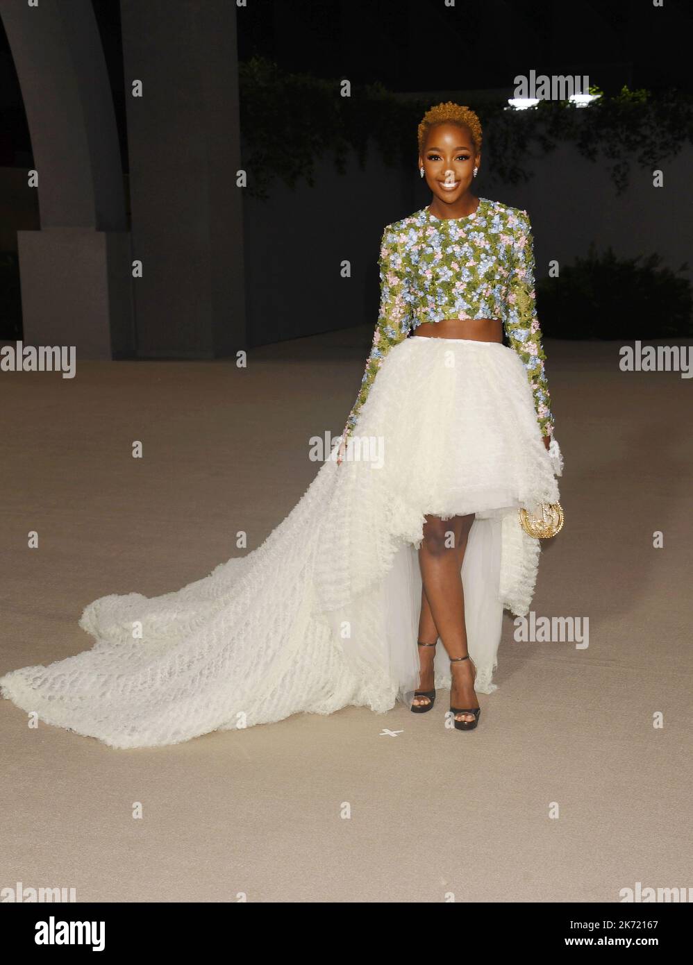 Los Angeles, Ca. 15th Oct, 2022. Thuso Mbedu attends the 2nd Annual ...