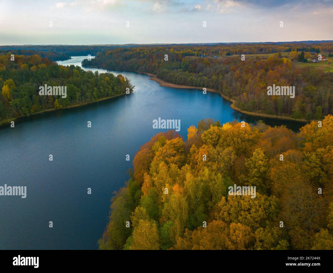 Autumn view with Asveja lake and colorful mapple trees Stock Photo - Alamy