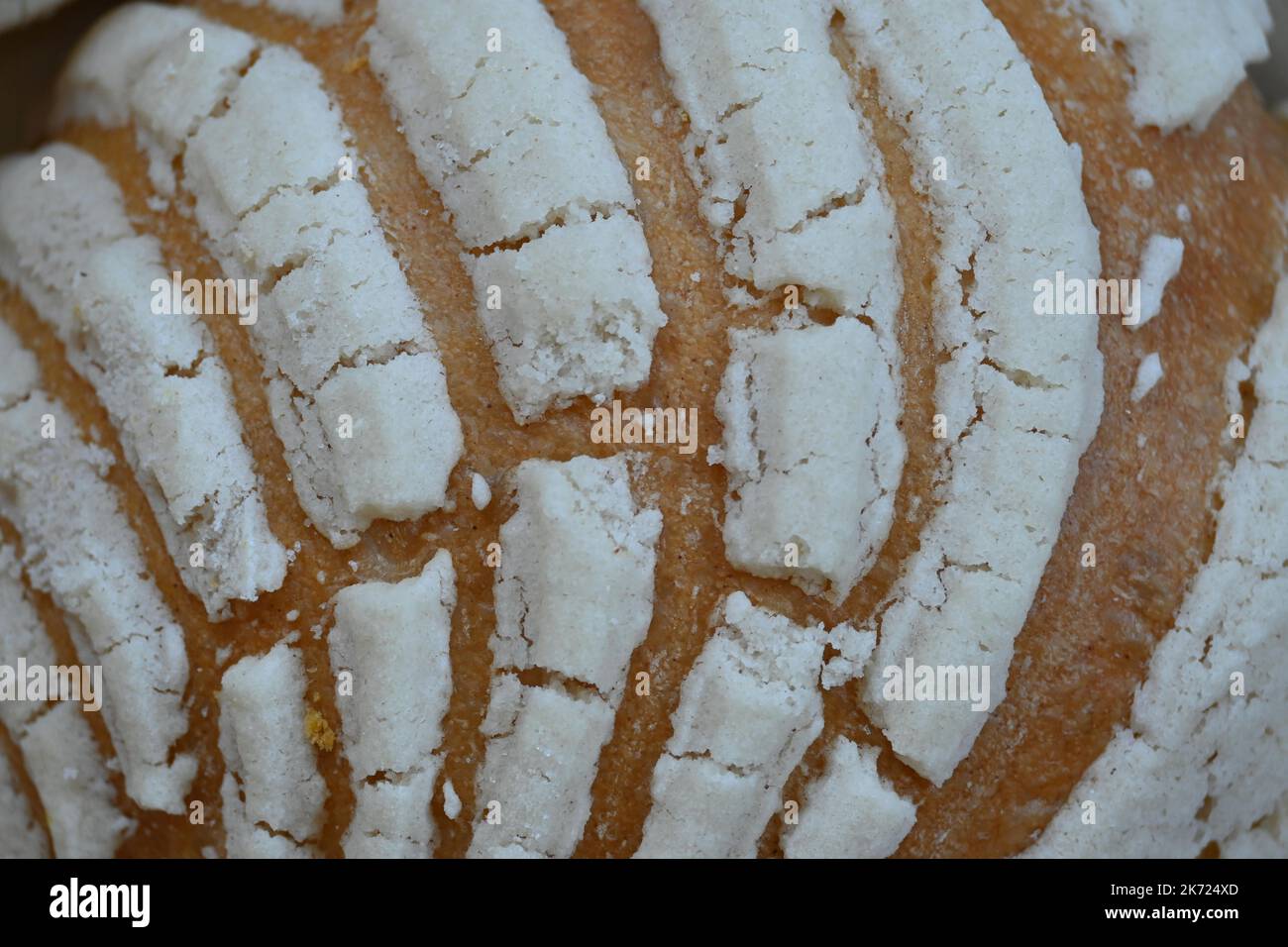 Conchas mexicanas hi-res stock photography and images - Alamy