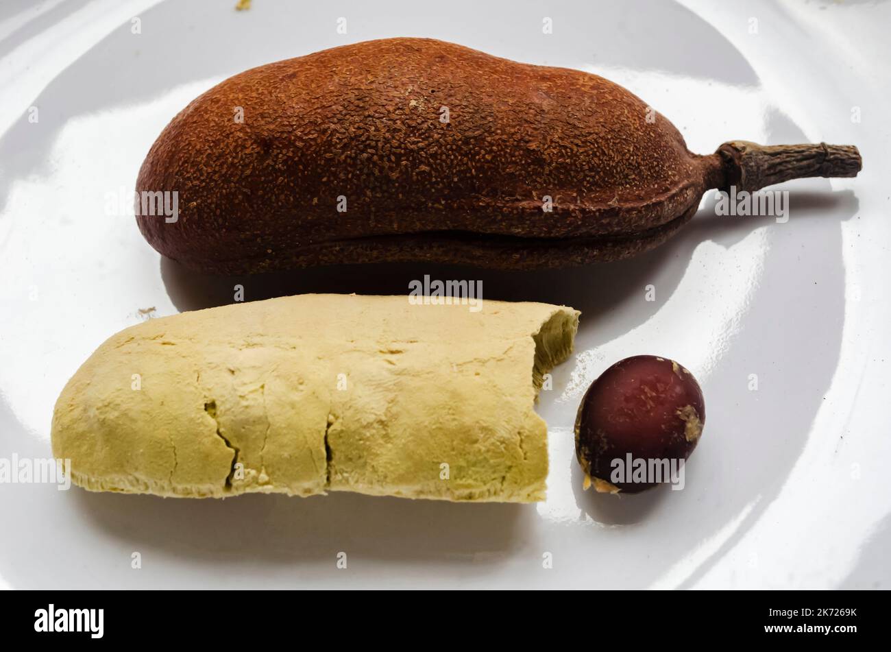 Locust Fruit Internal, Seed and in a Pod Stock Photo - Alamy