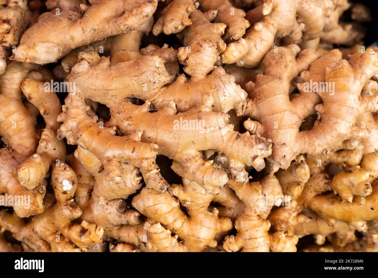 Zingiber officinale - Fresh ginger roots in the traditional Colombian ...