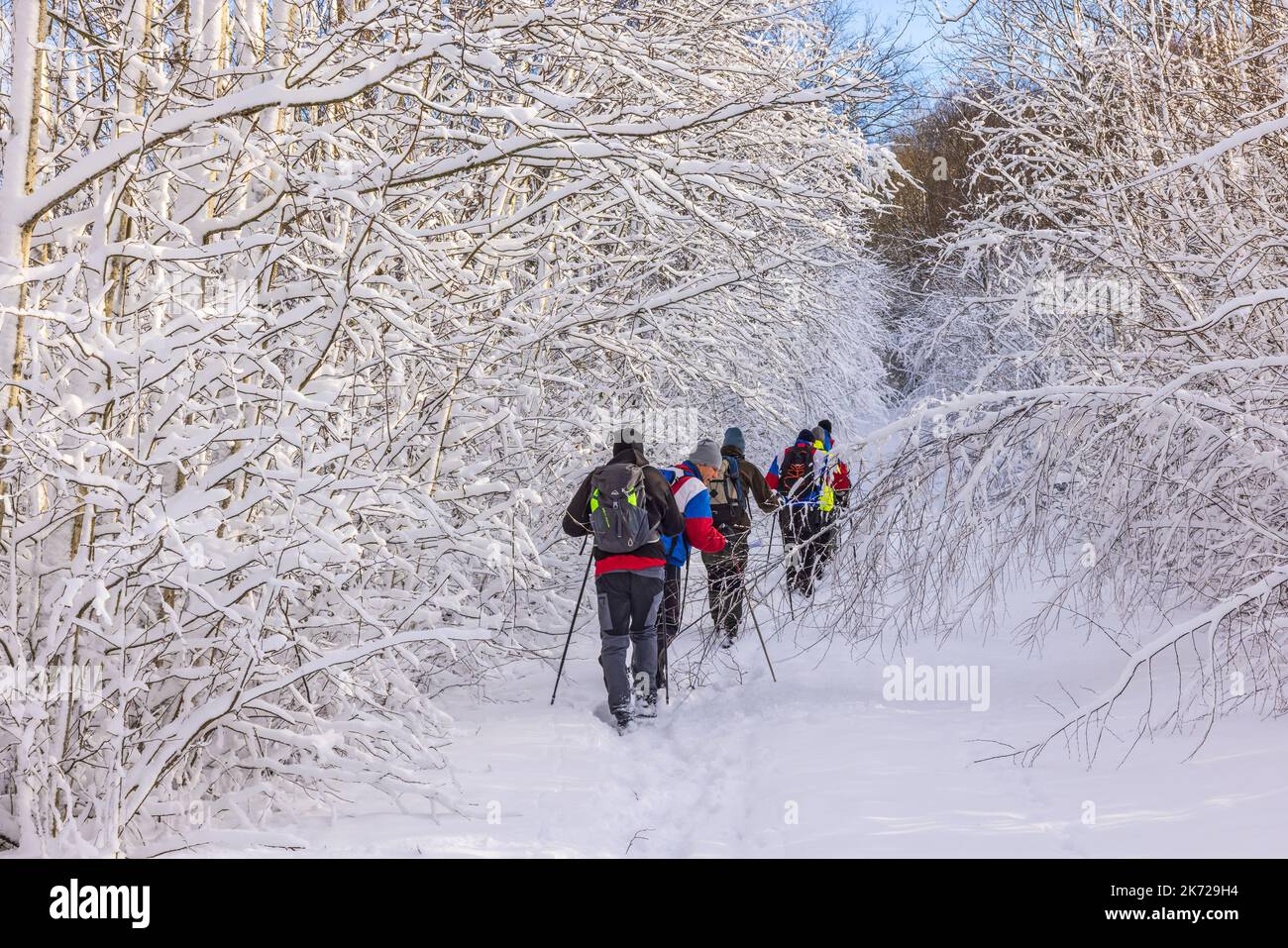 Hikers walk in frozen hi-res stock photography and images - Alamy