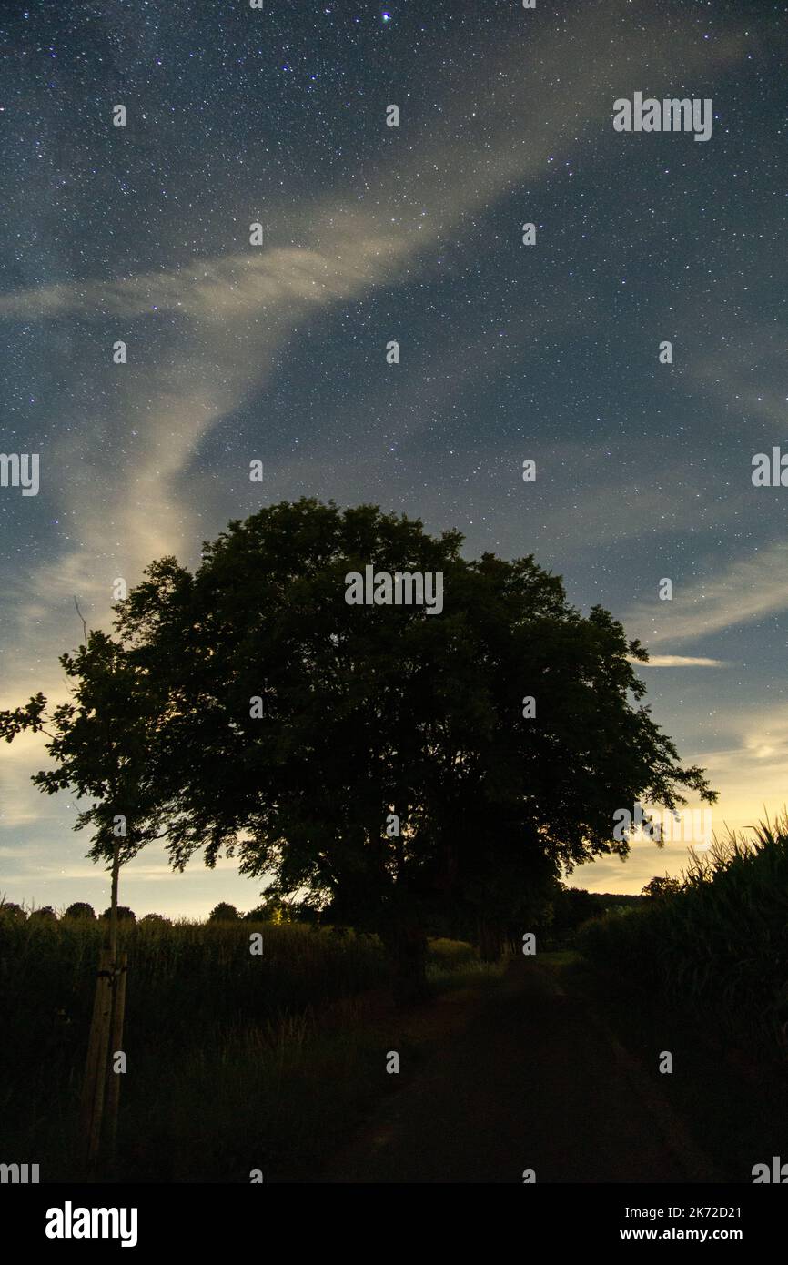 Night sky with tree in foreground Stock Photo - Alamy