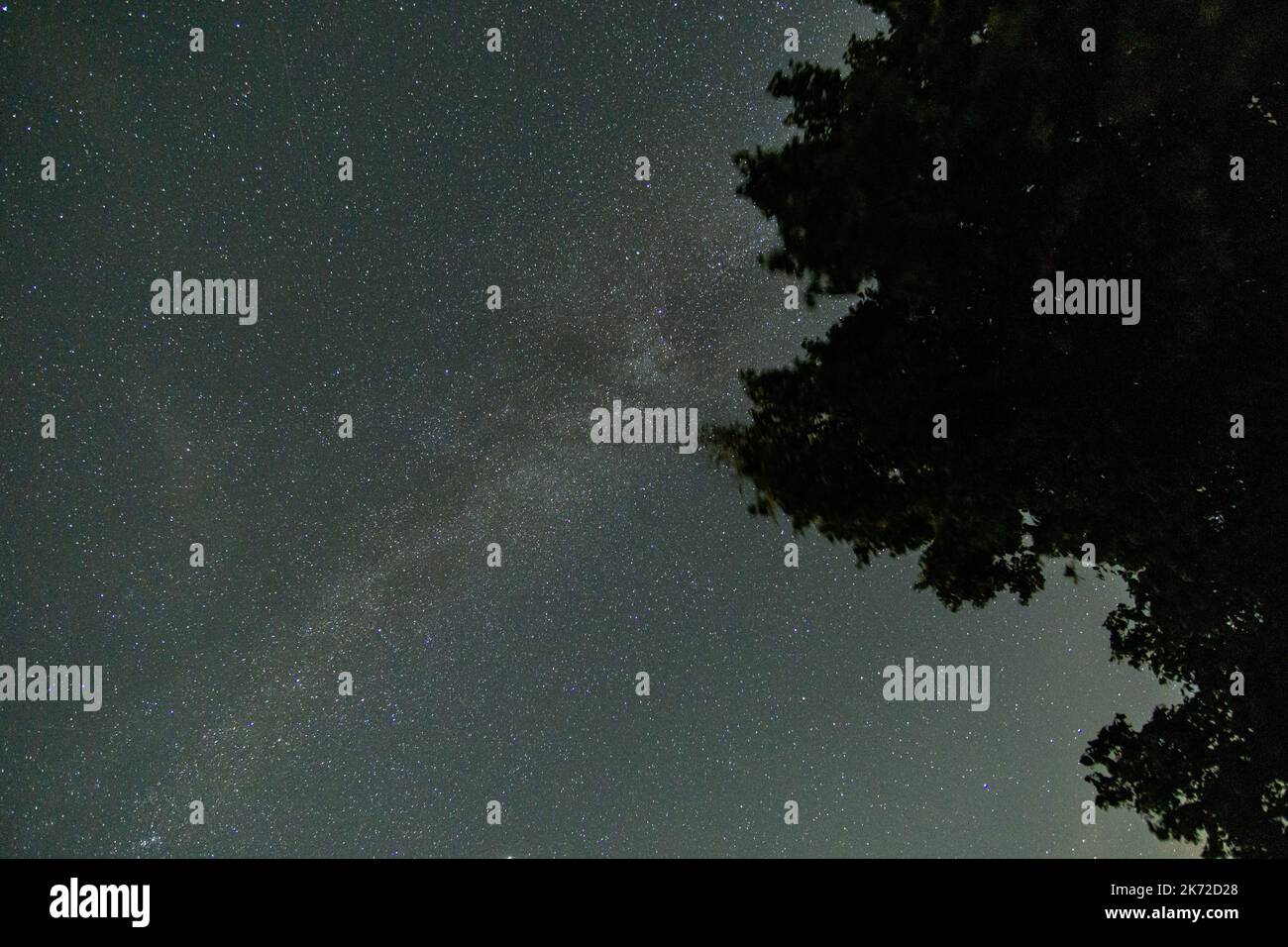 Night sky with milky way and tree Stock Photo - Alamy