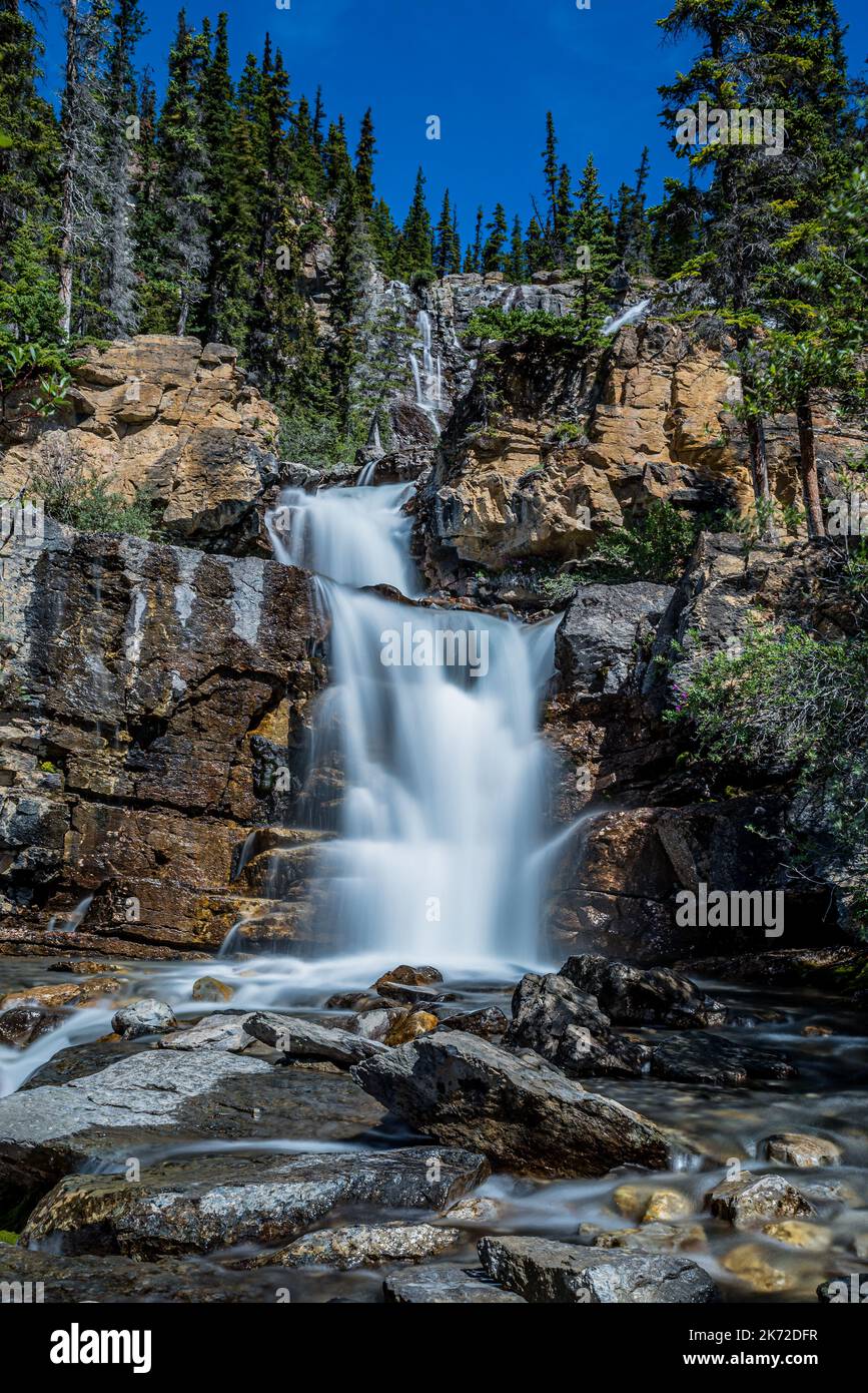 The wispy water of Tangle Creek Falls in Jasper National Park, Alberta ...