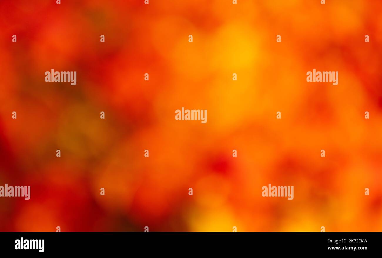 bright blurred orange background. orange color blurred background ...