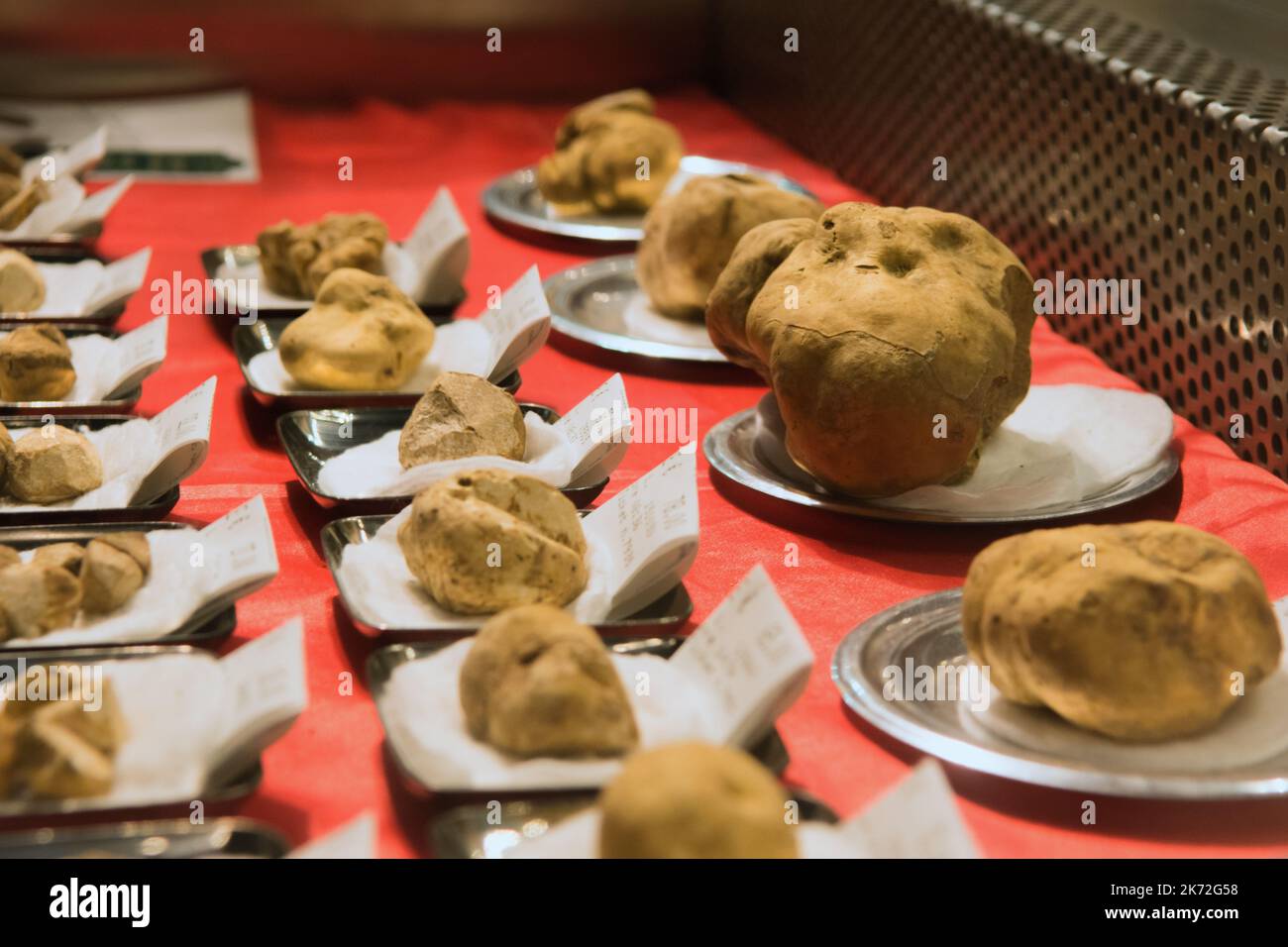 White Truffles (Tuber Magnatum Pico) on a trader stall of the Fiera del ...