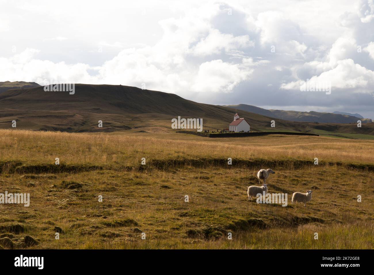 icelandic trip on the ring road Stock Photo - Alamy