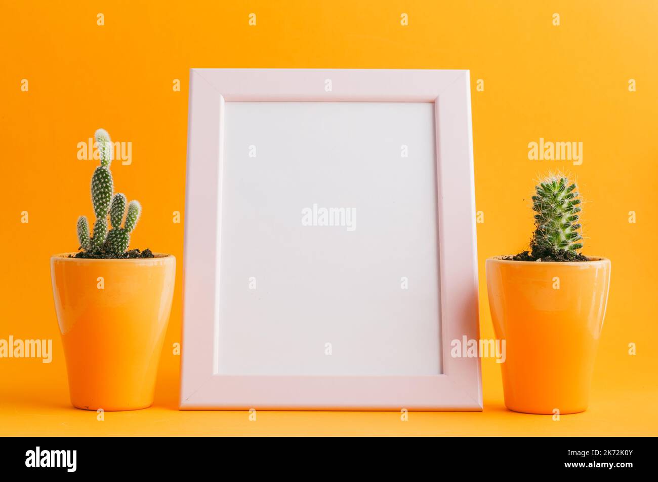 succulent plant on a yellow background Stock Photo - Alamy
