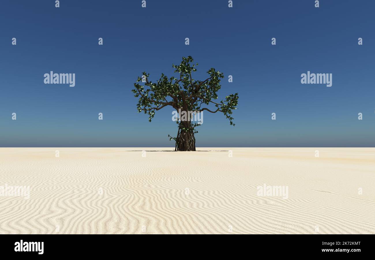 Large tree in a sandy desert Stock Photo - Alamy