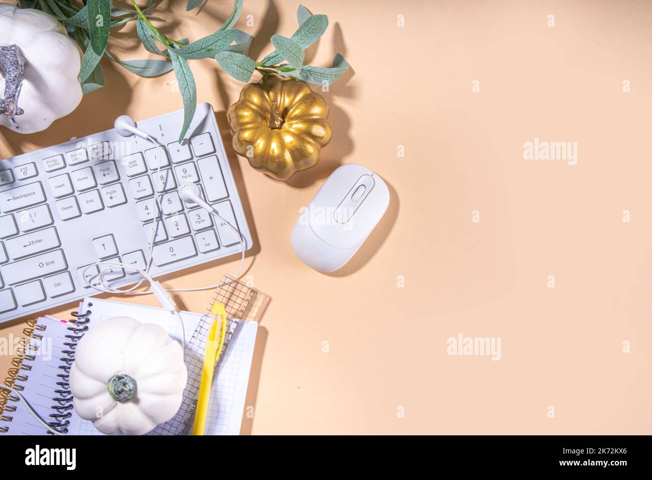 Simple pastel autumn office work, education flatlay top view copy space ...
