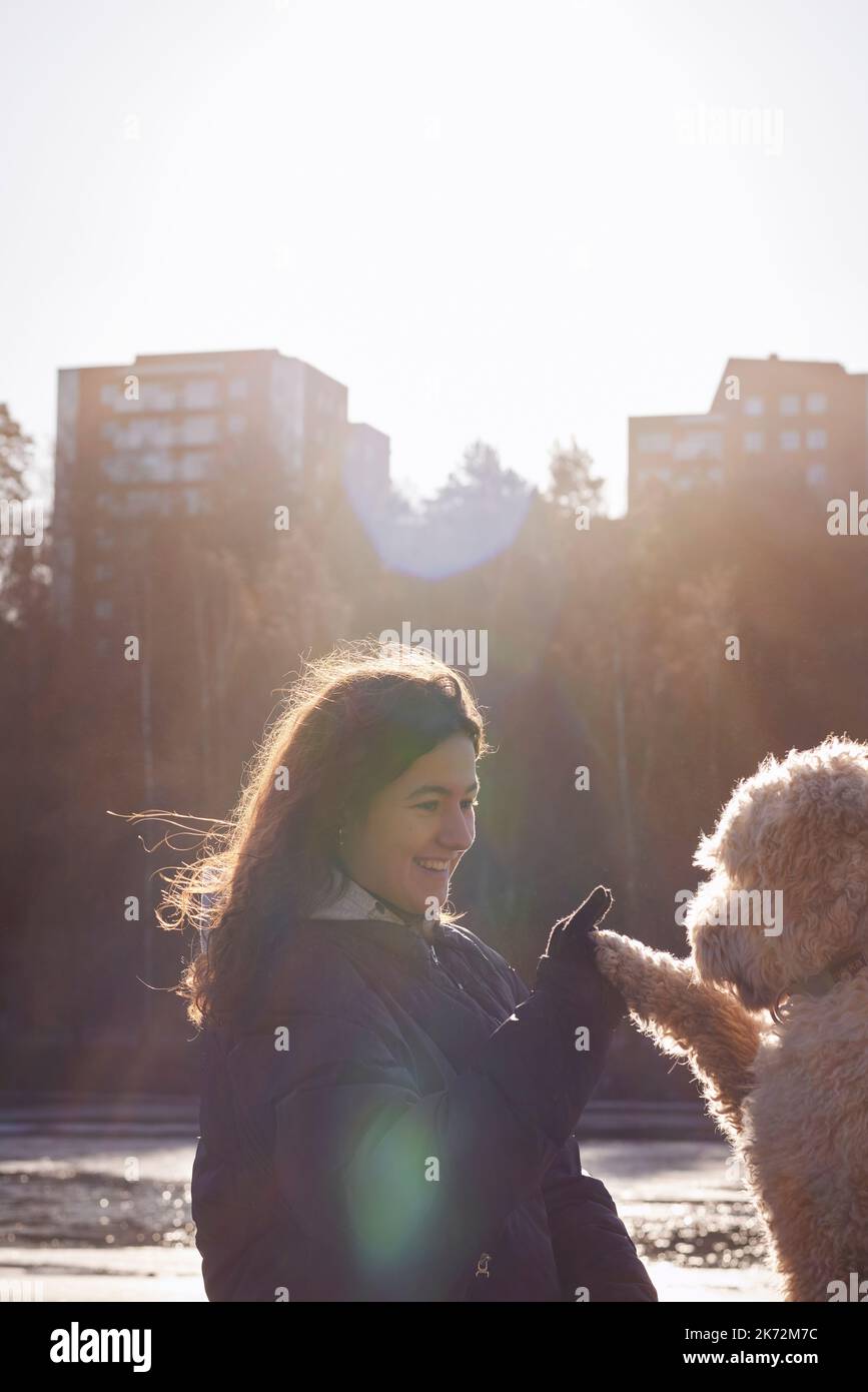 Woman giving high five to dog Stock Photo - Alamy