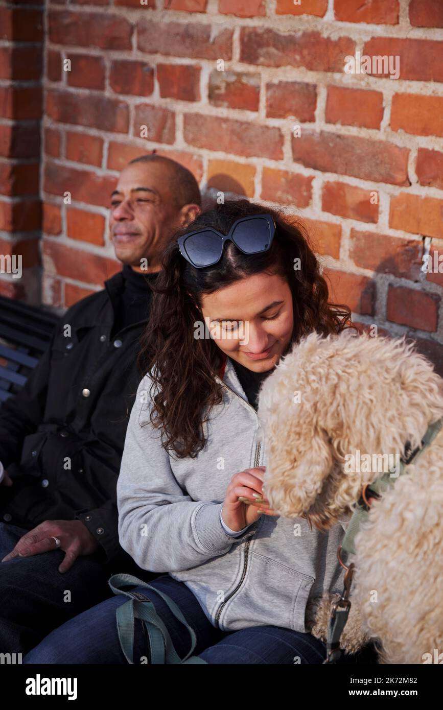 Couple sitting on bench dog hi-res stock photography and images - Alamy