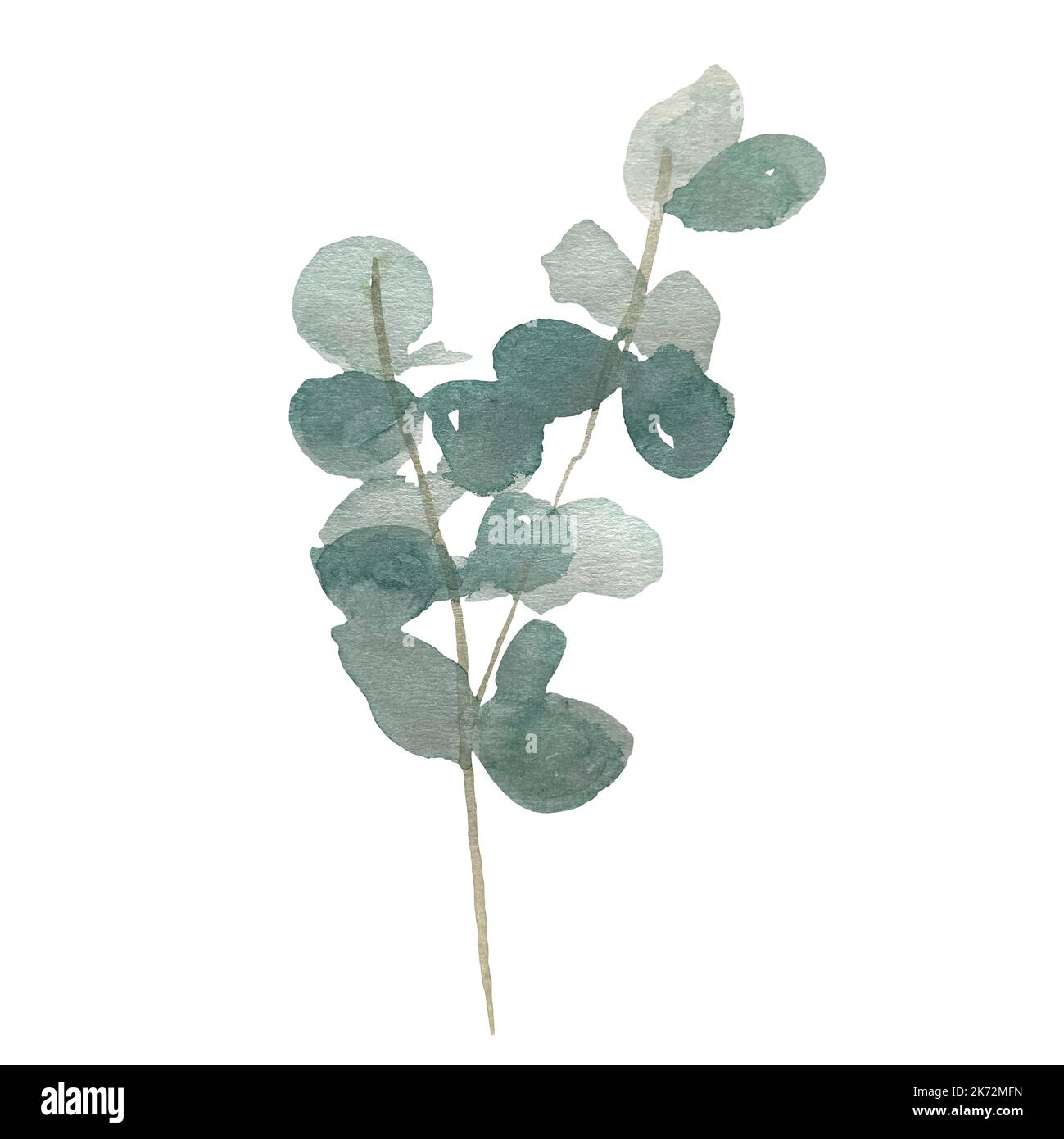 Illustrated greenery design Cut Out Stock Images & Pictures - Alamy