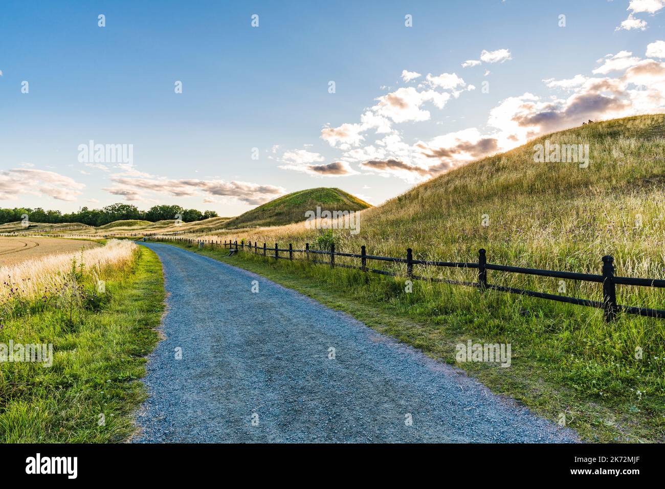 Landscape dirt road hi-res stock photography and images - Alamy