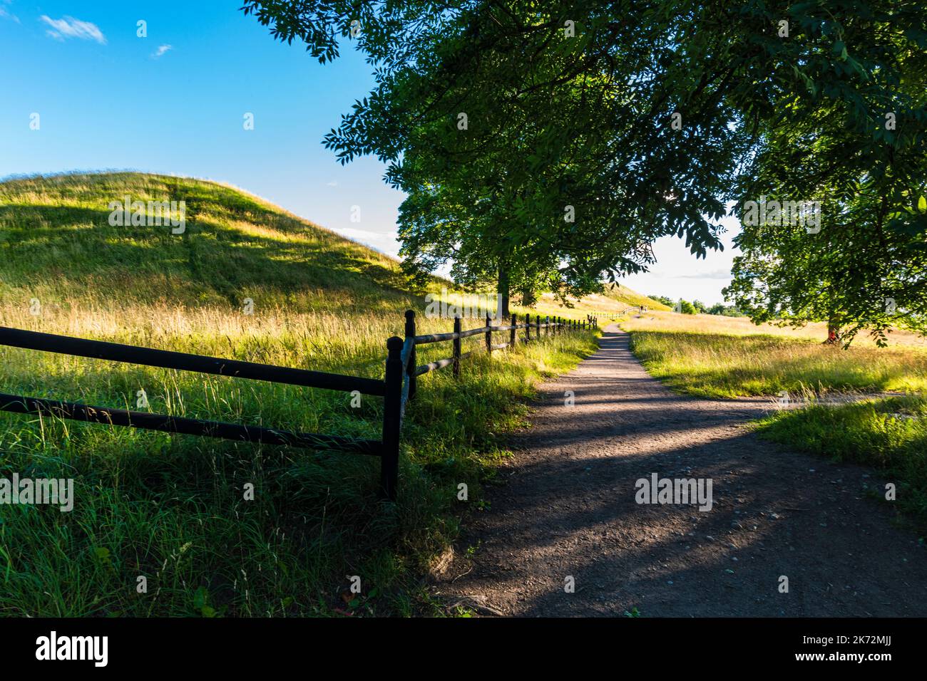 Hilly dune landscape hi-res stock photography and images - Alamy