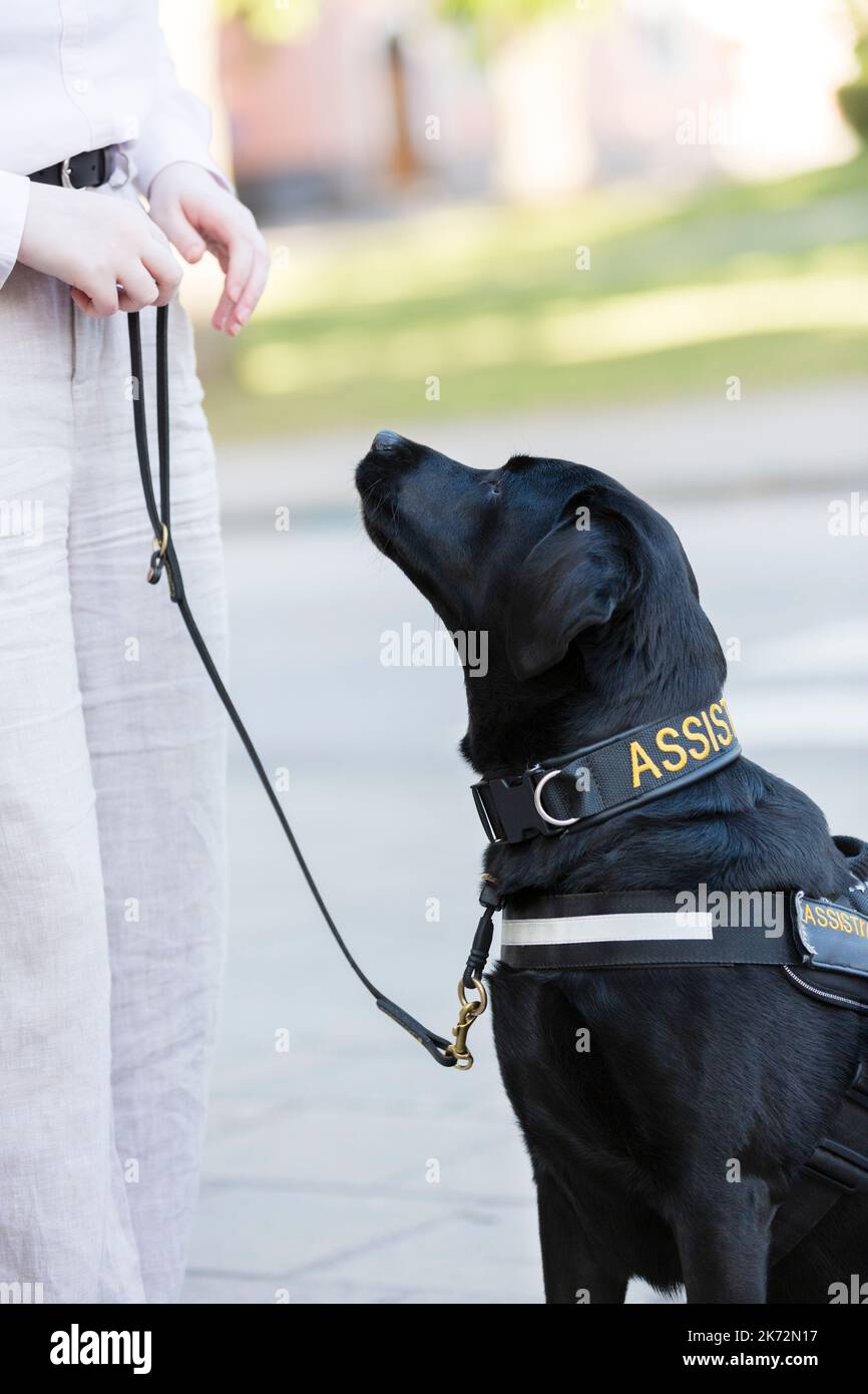 Human bone leg real hi-res stock photography and images - Alamy