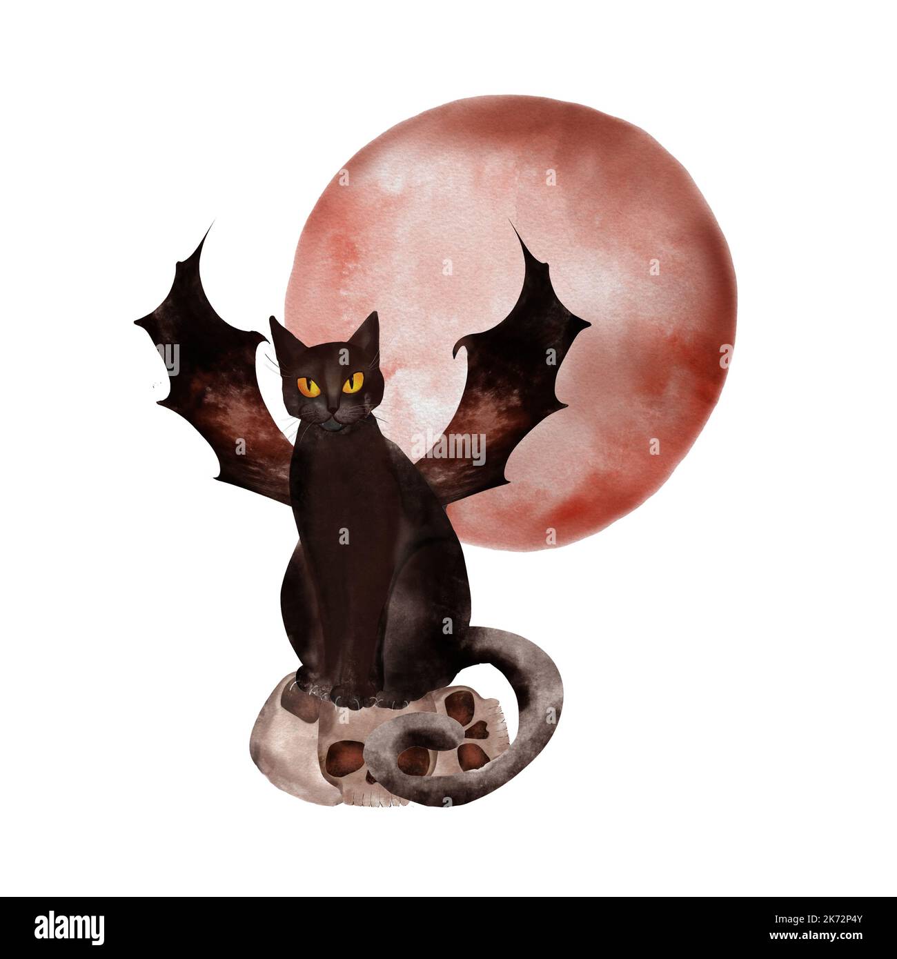 A black cat sits on the turtles.Watercolor illustration for Halloween ...