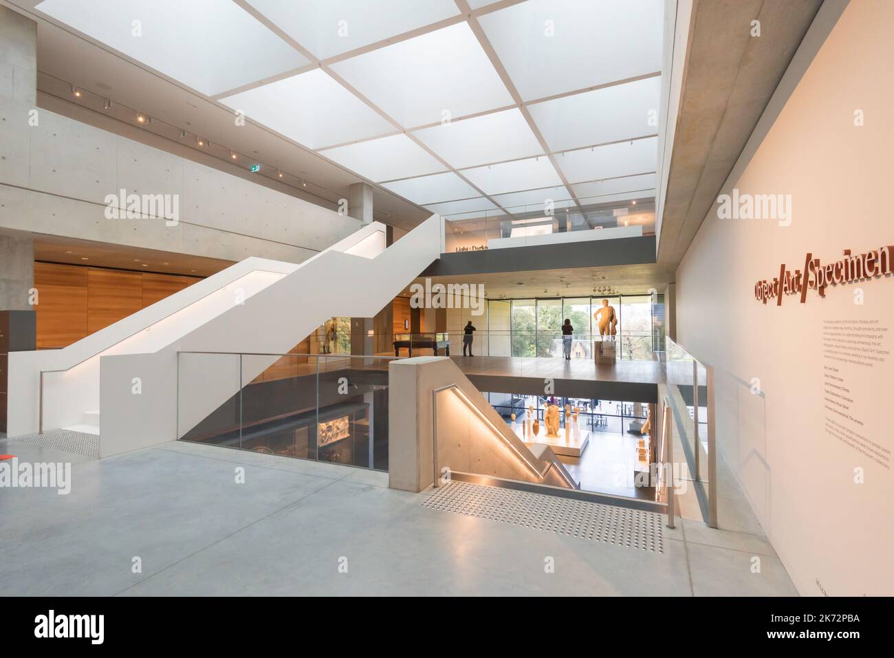 The interior of the Chau Chak Wing Museum at the University of Sydney ...