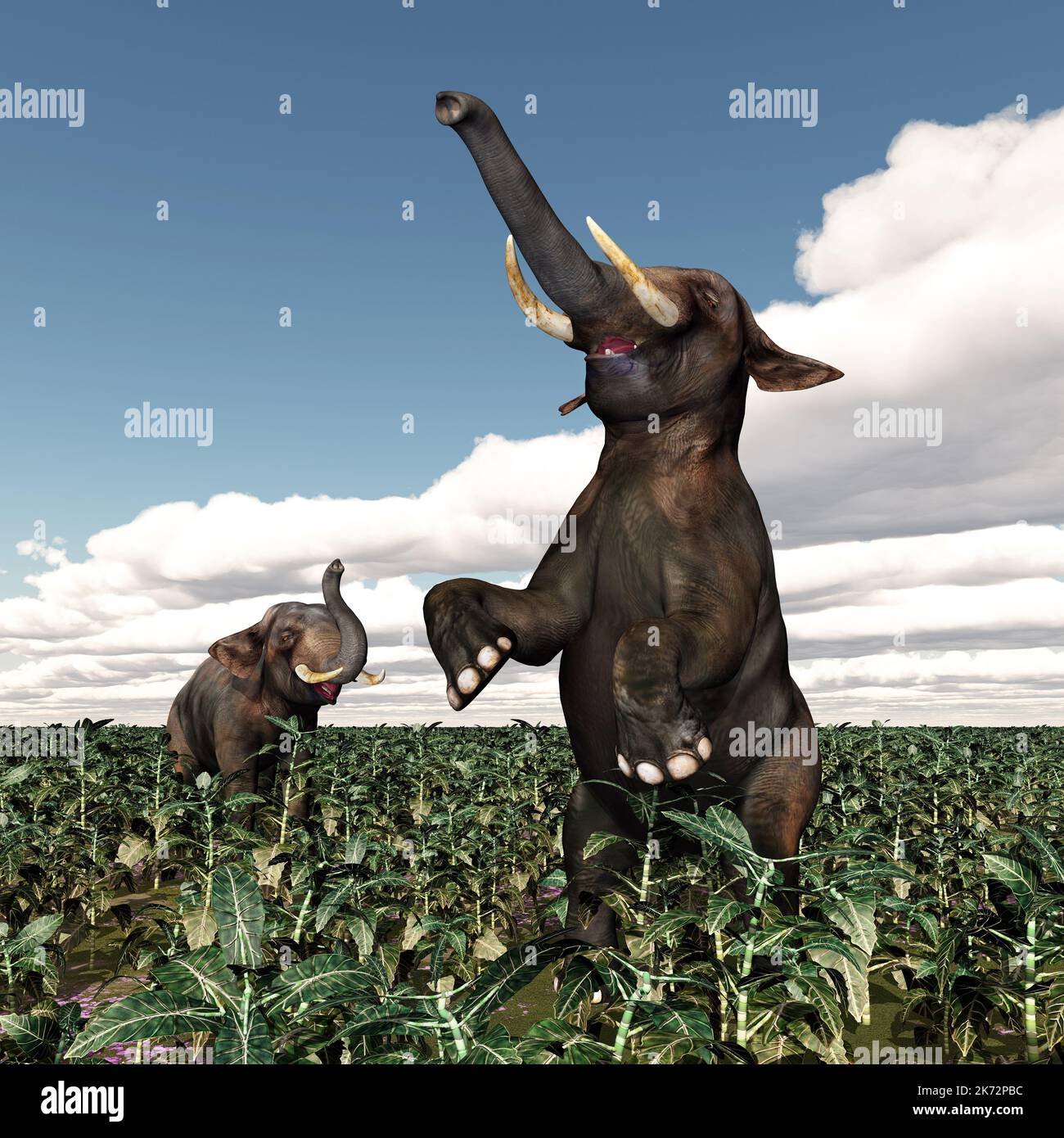 Two elephants in a landscape Stock Photo - Alamy