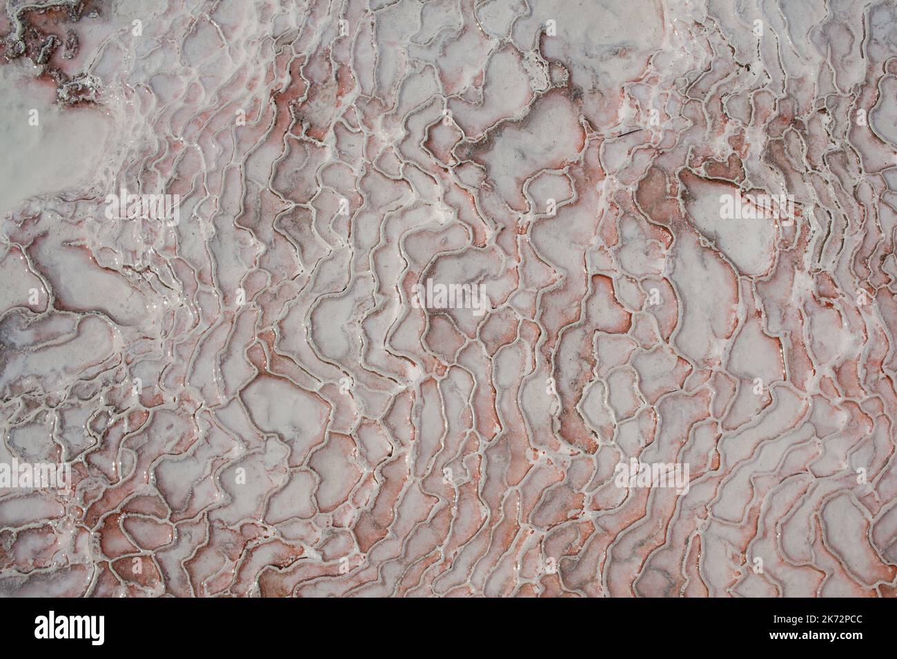 Limestone floor in Pamukkale calcium travertine in Turkey, asymmetric ...