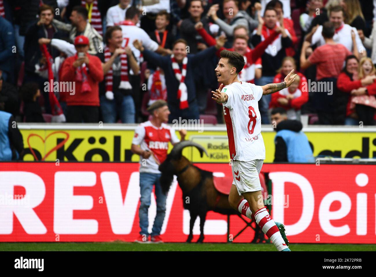 COLOGNE, GERMANY - OCTOBER 16, 2022: Denis Huseinbasic celebrates his ...