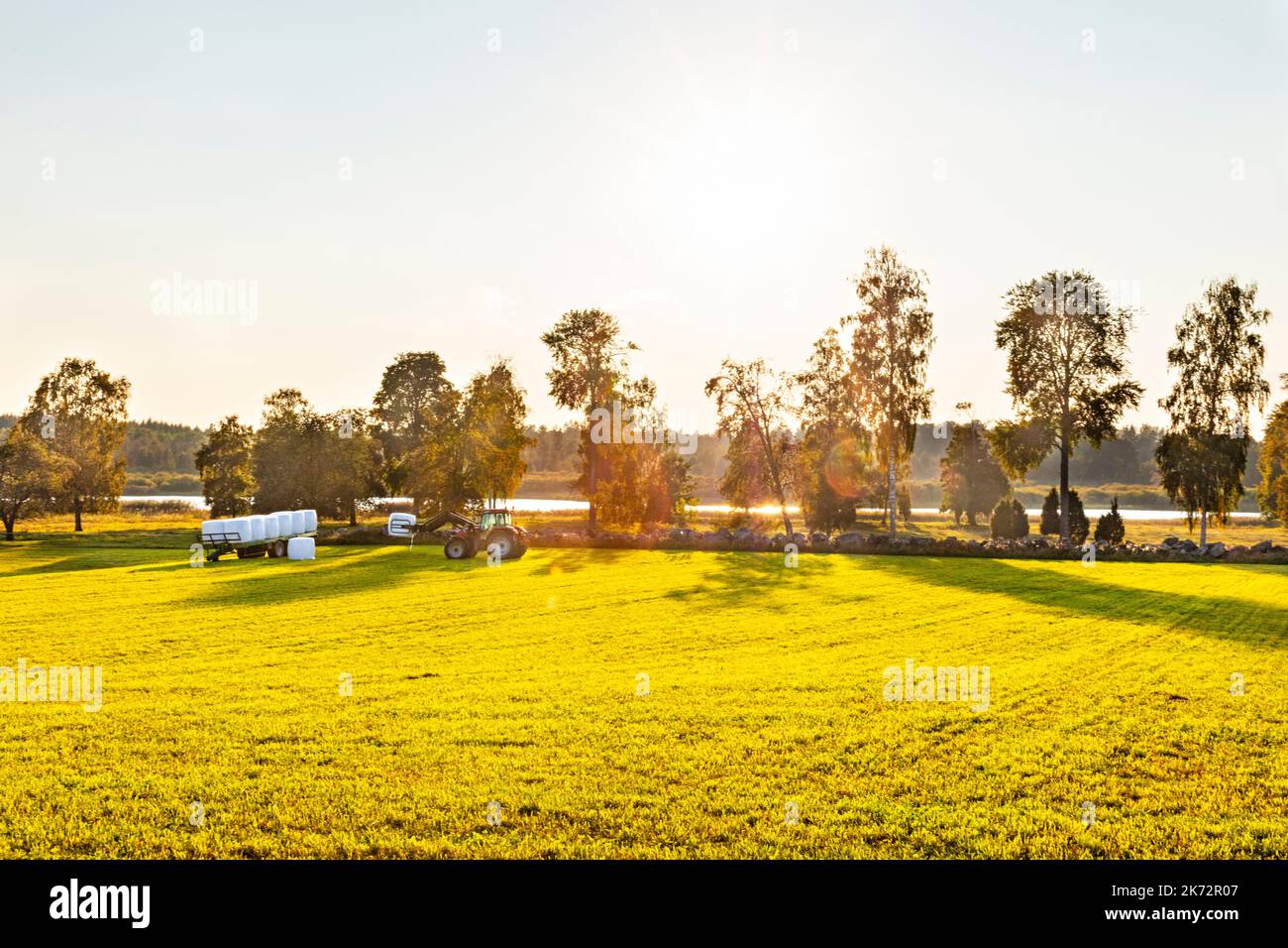 Tractor collecting bales in field Stock Photo - Alamy Tractor collecting bales in field Stock Photo - Alamy