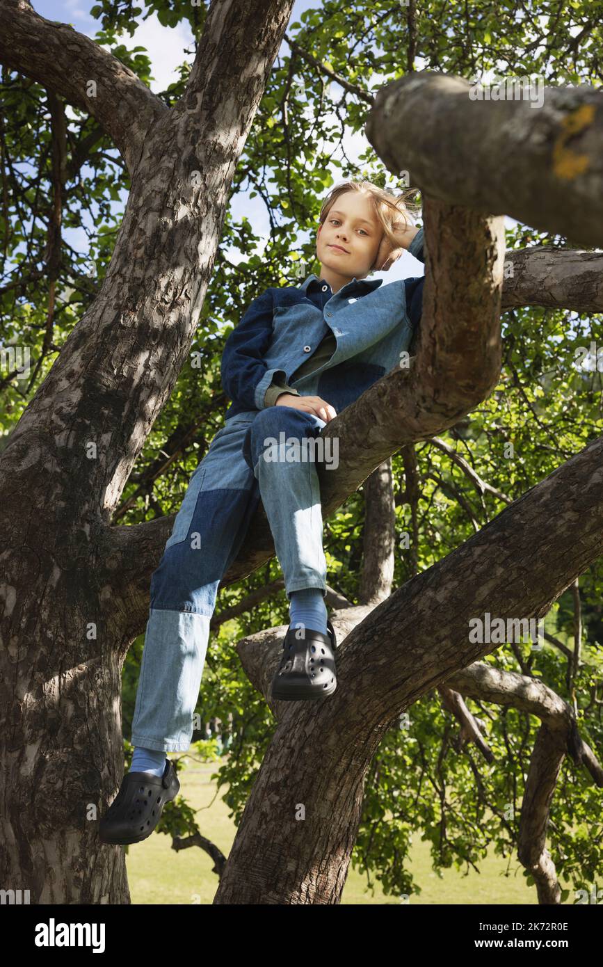 Girl sitting on tree Stock Photo - Alamy