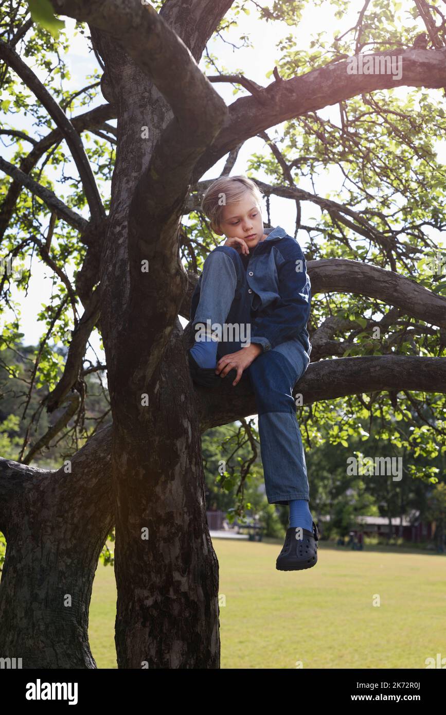 Girl sitting on tree Stock Photo - Alamy