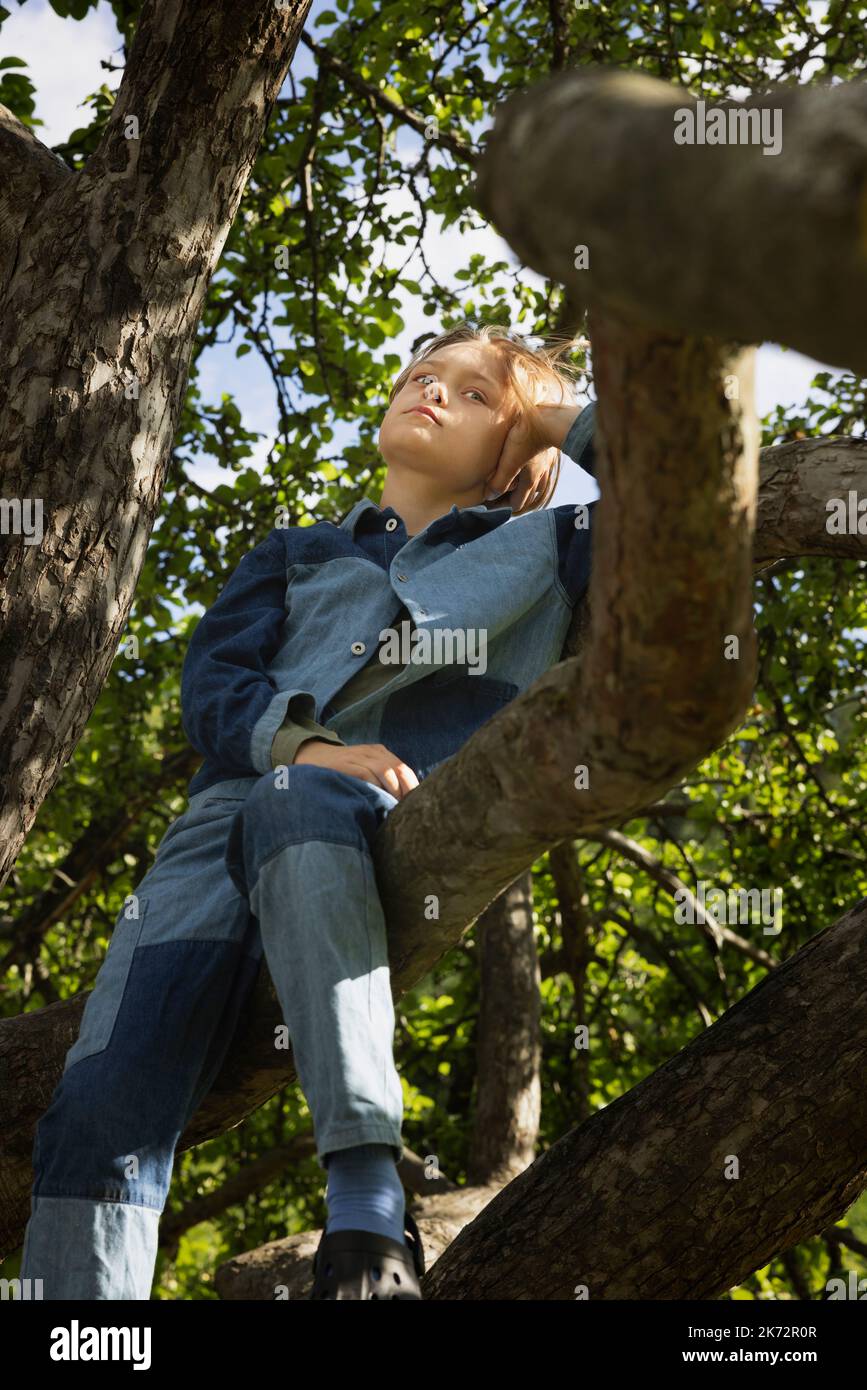 Girl sitting on tree Stock Photo - Alamy