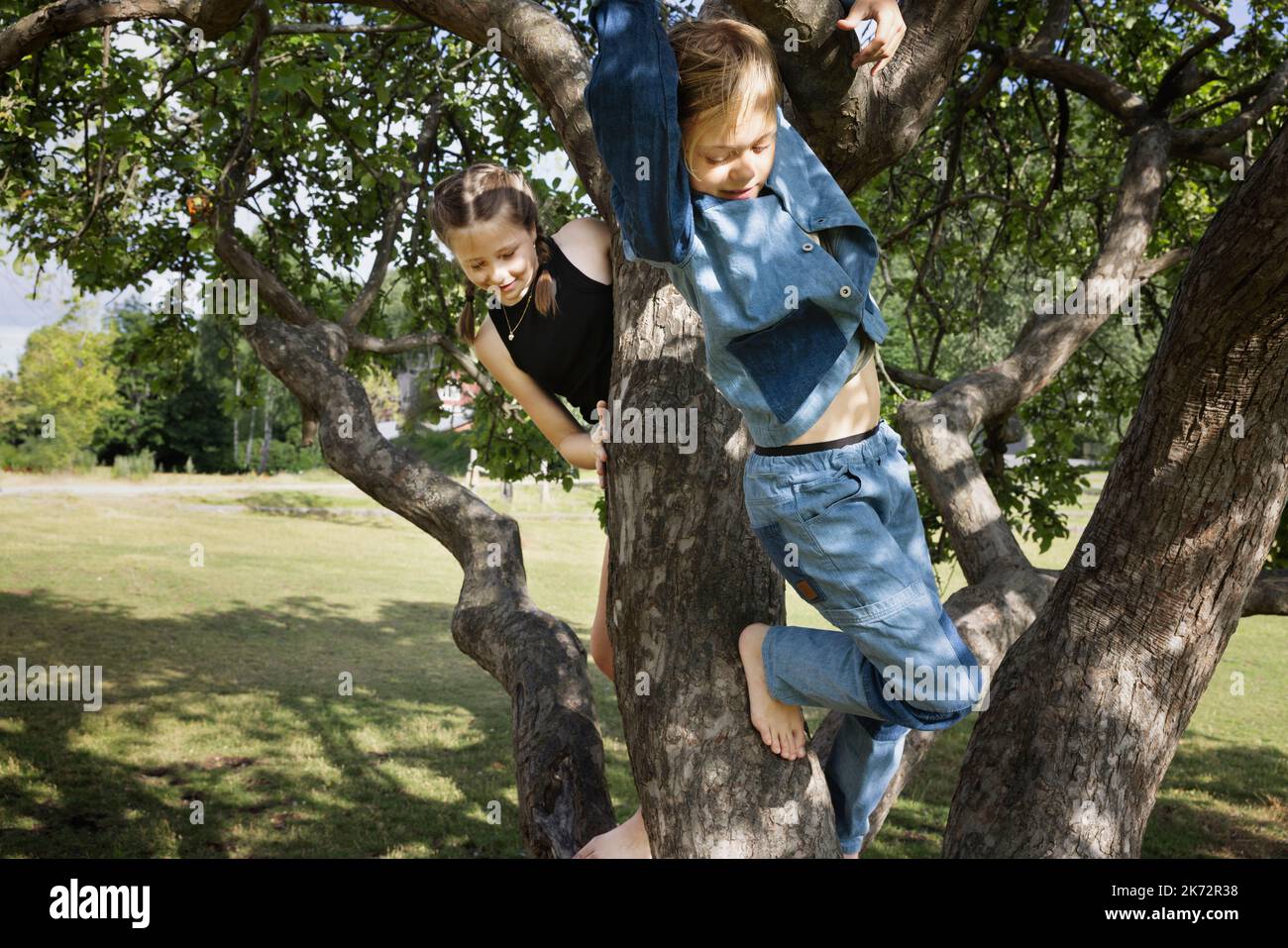 Girls climbing tree Stock Photo - Alamy