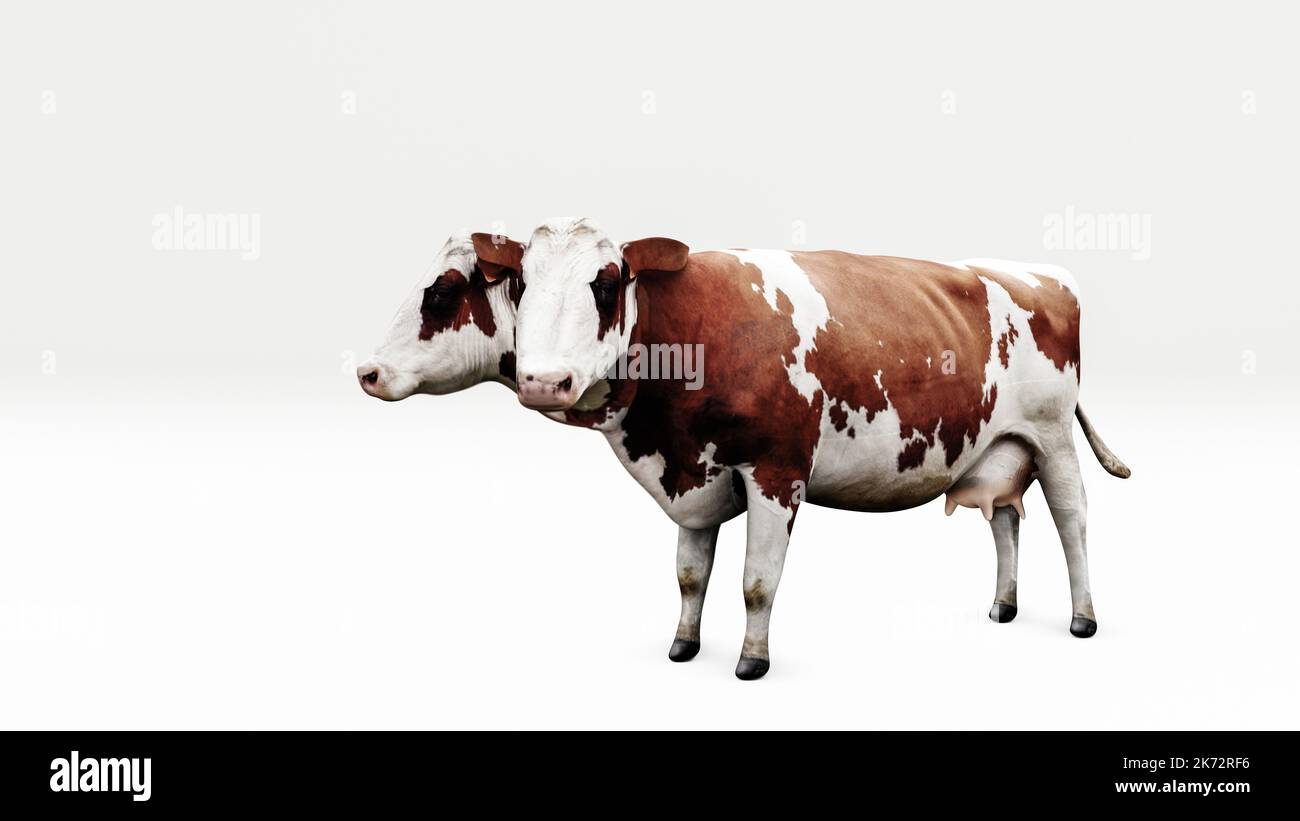 mutant cow isolated on white background 3d illustration Stock Photo - Alamy