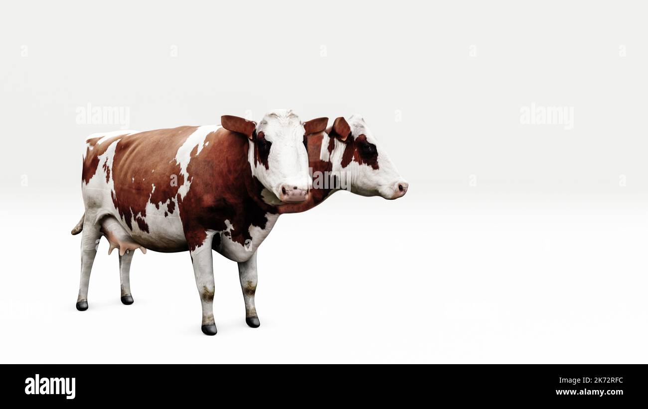 mutant cow isolated on white background 3d illustration Stock Photo - Alamy