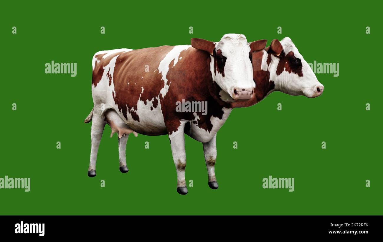 mutant cow isolated on green background 3d illustration Stock Photo - Alamy