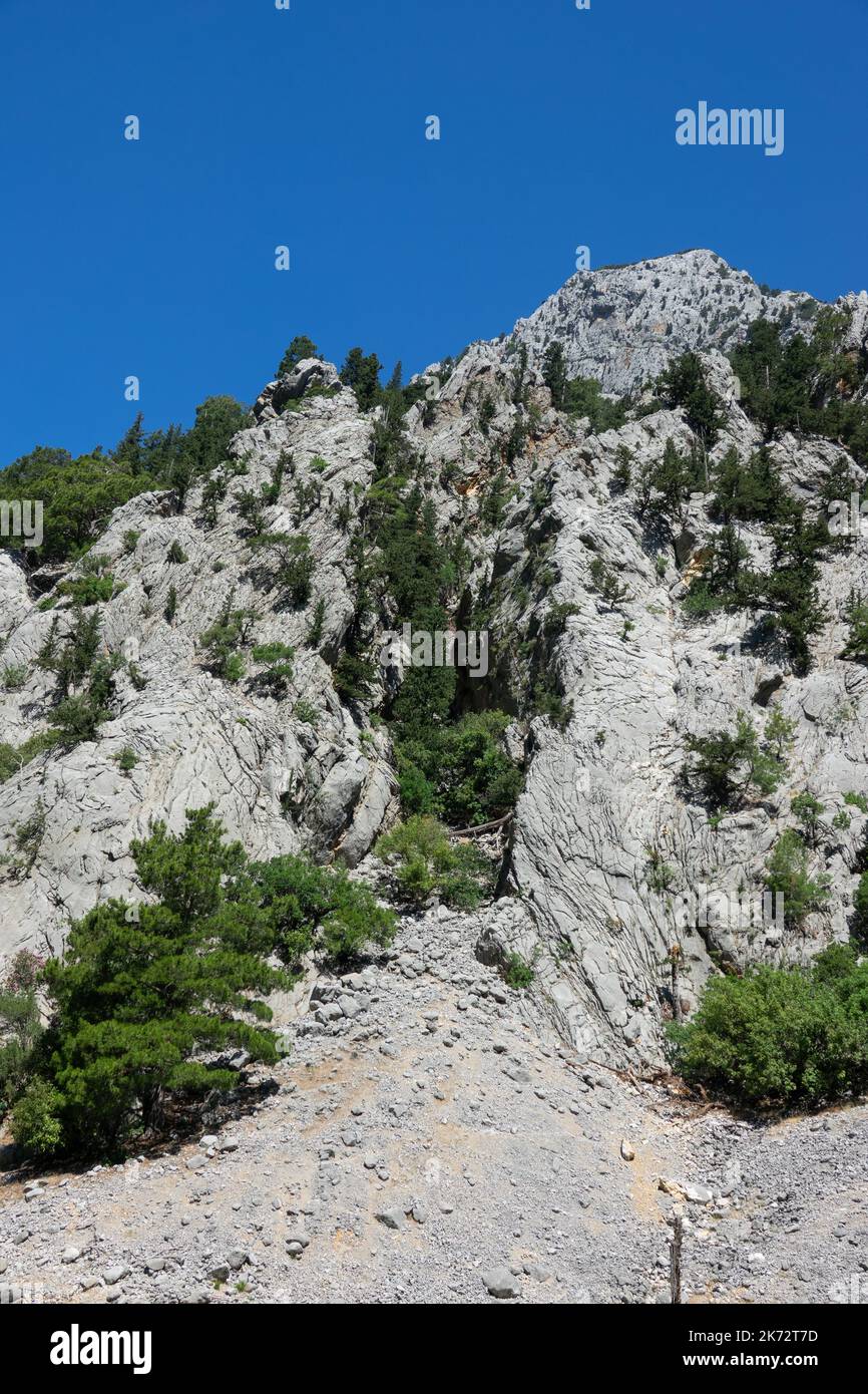 View of the mountain cliffs of the Green Canyon. Landscape of Green ...