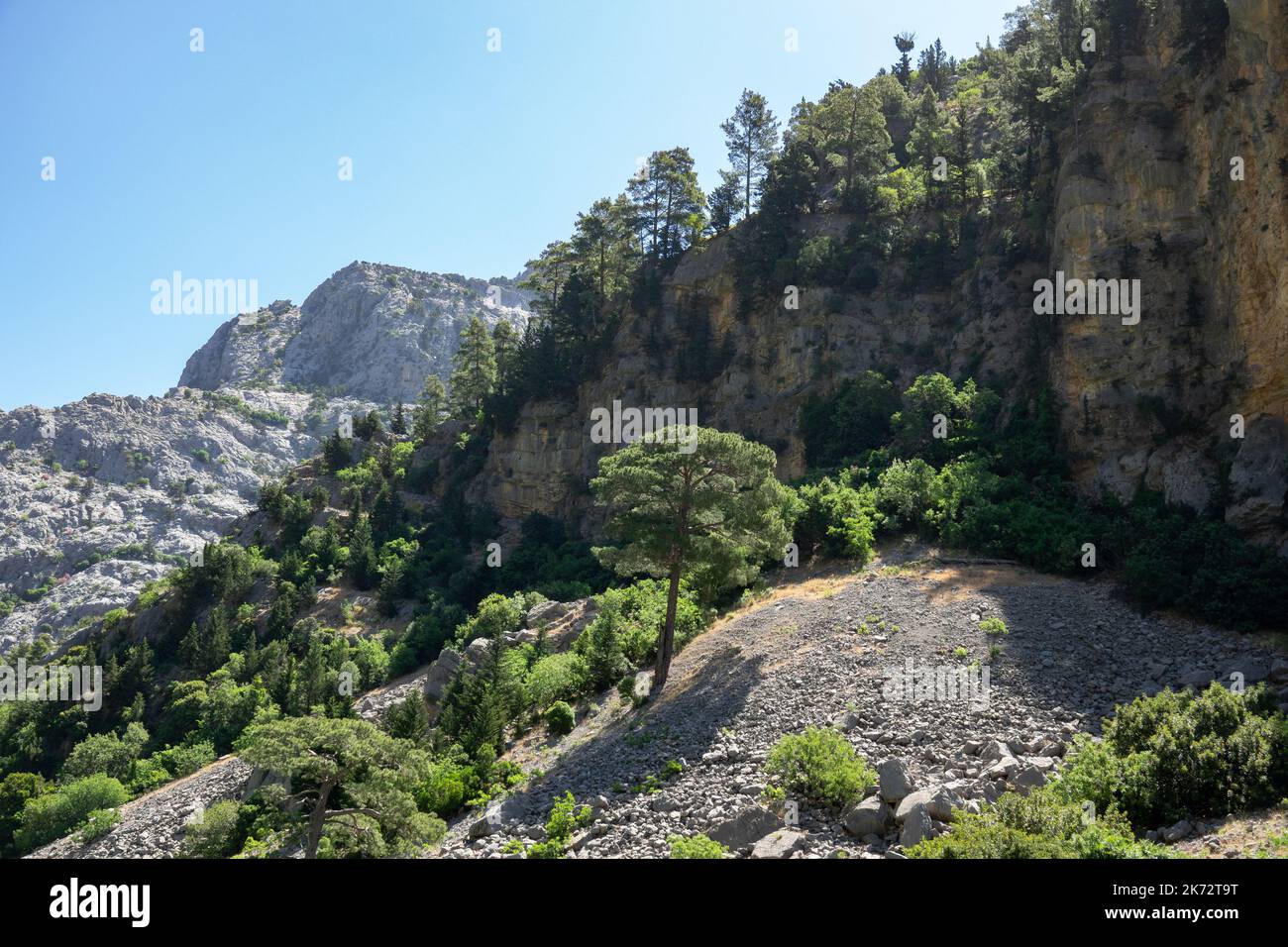 View of the mountain cliffs of the Green Canyon. Landscape of Green ...